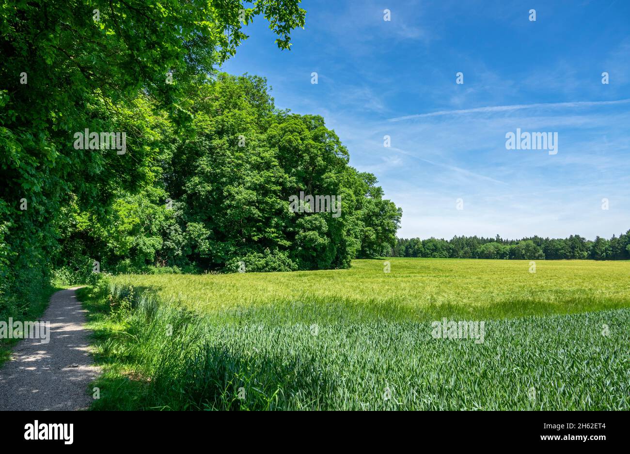 illertisser bee path. the path begins at the bavarian bee museum in the ...
