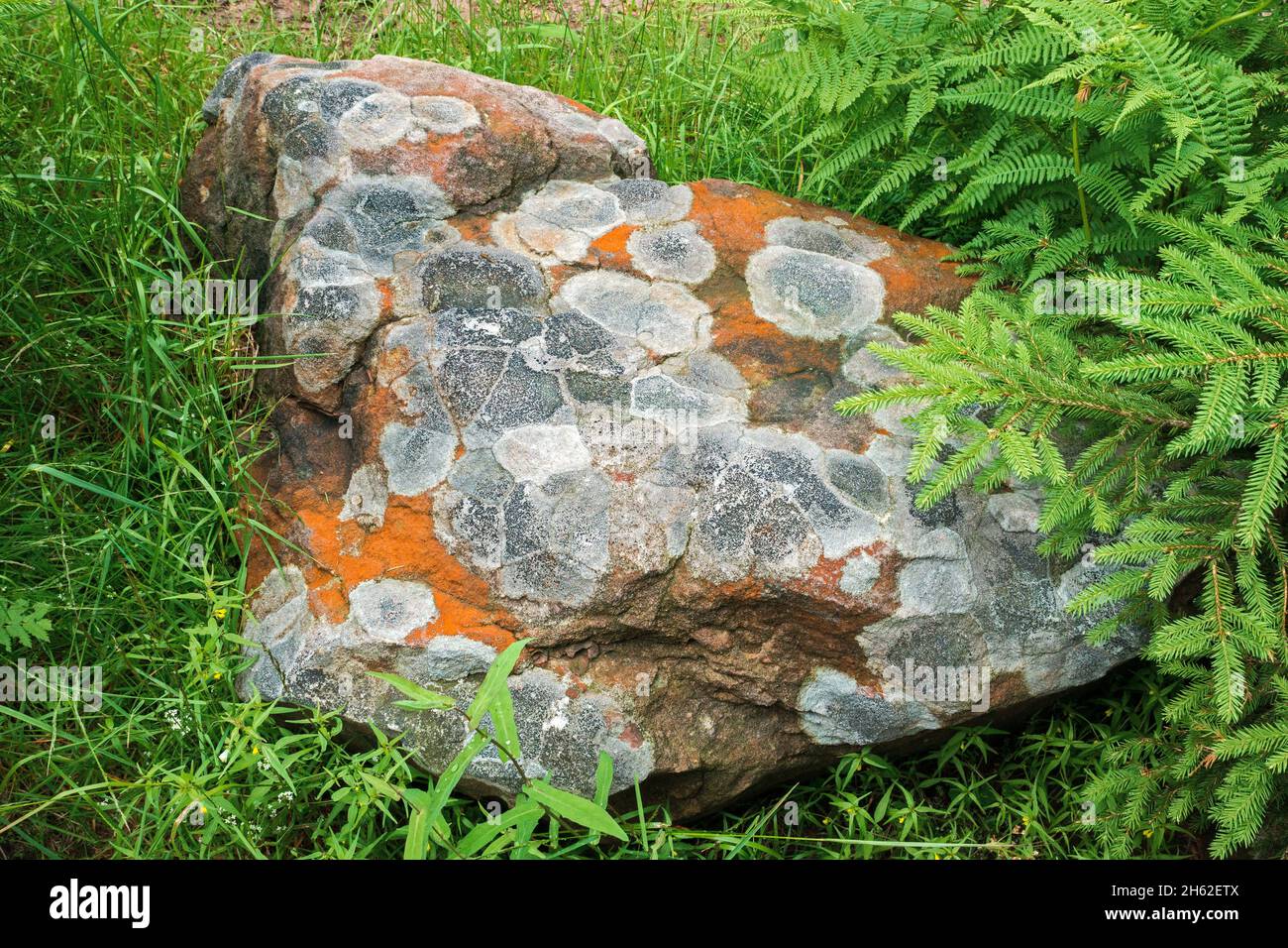 Mottled sandstone hi-res stock photography and images - Alamy