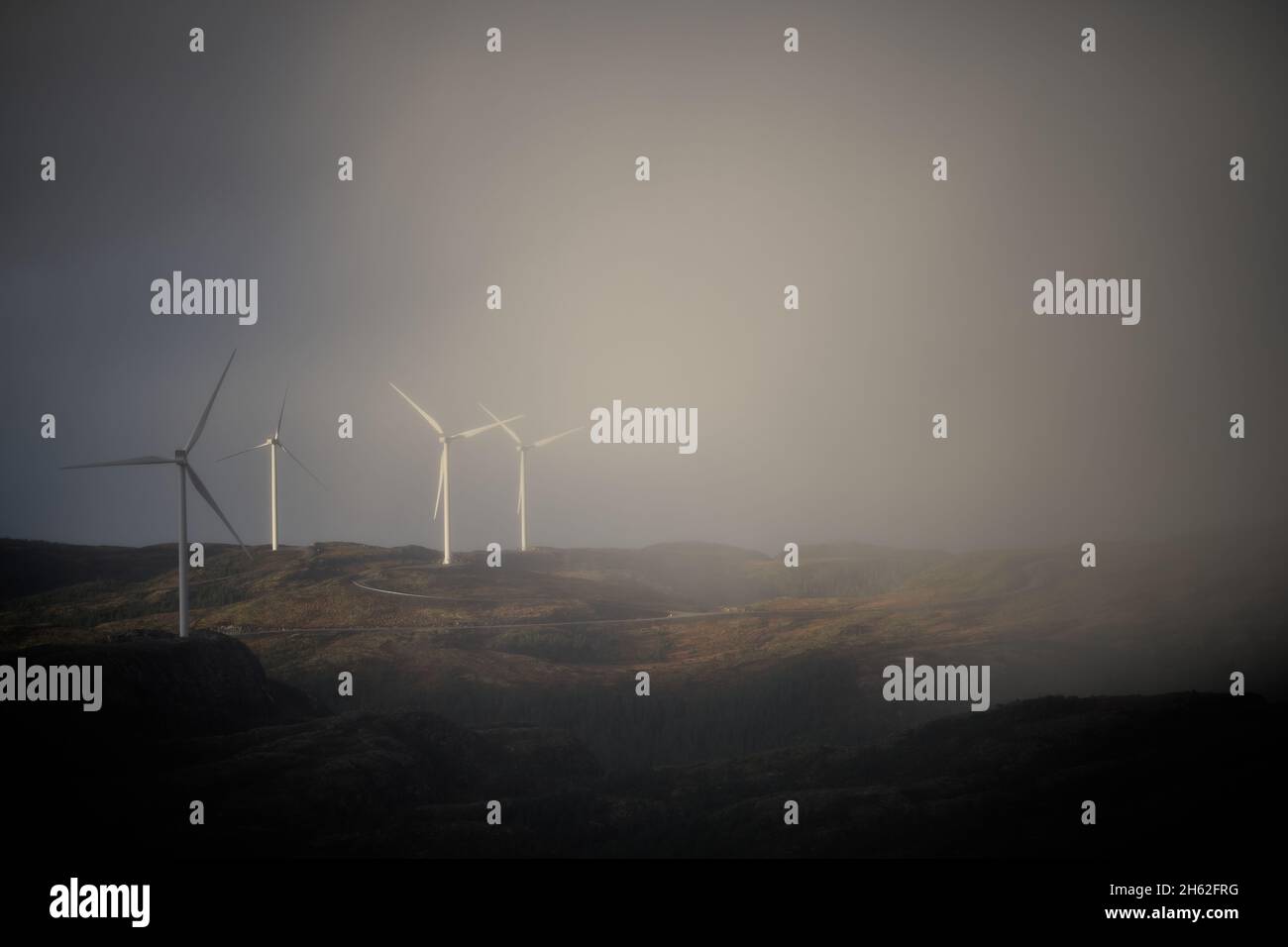 Roan 20211112.Minister of Petroleum and Energy Marte Mjos Persen during ...