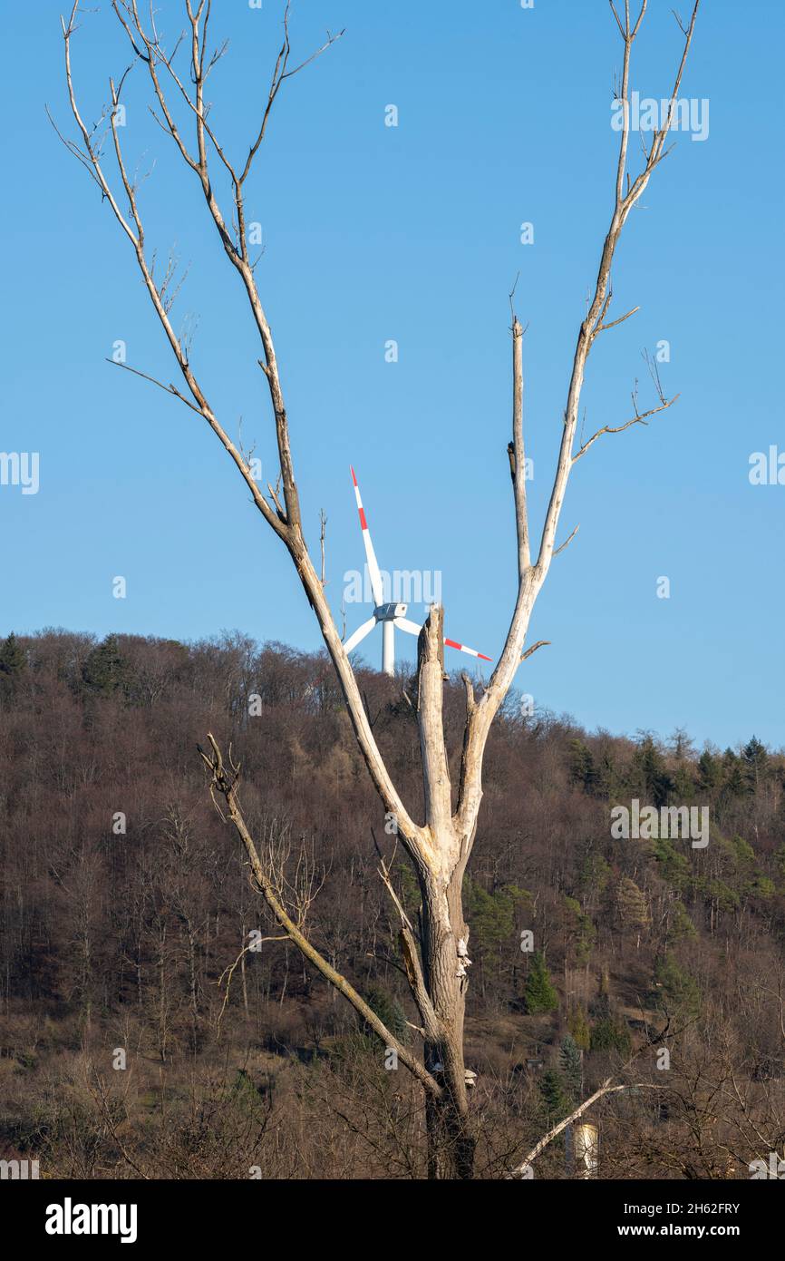 Dead tree in front of a wind turbine hi-res stock photography and ...