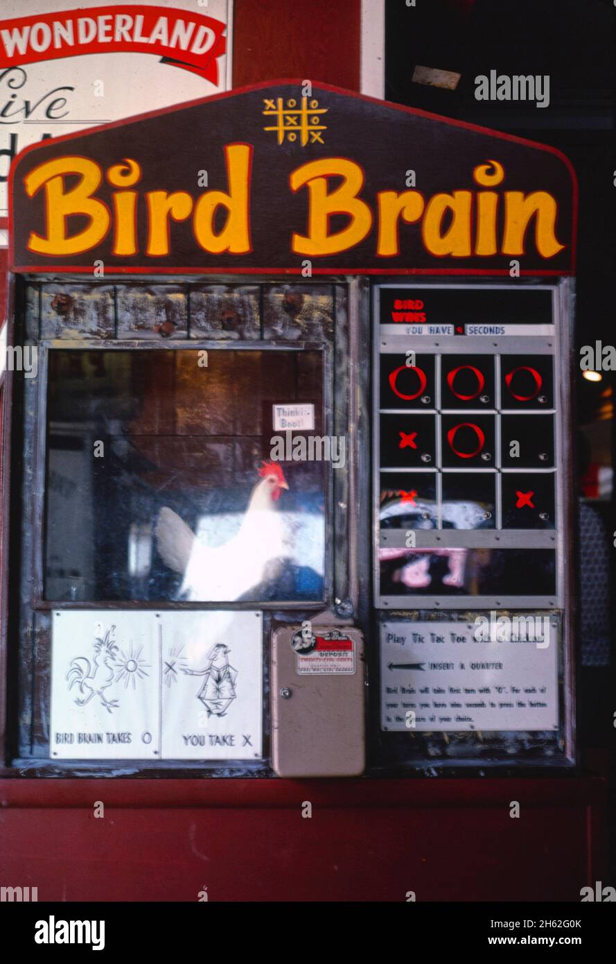 Tic tac toe chicken game hi-res stock photography and images - Alamy