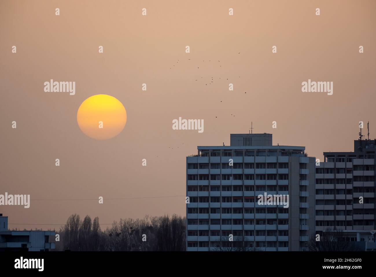 germany,baden-wuerttemberg,karlsruhe,sunset in the city Stock Photo - Alamy