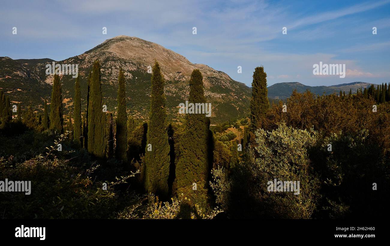 Greece cypress hi-res stock photography and images - Alamy