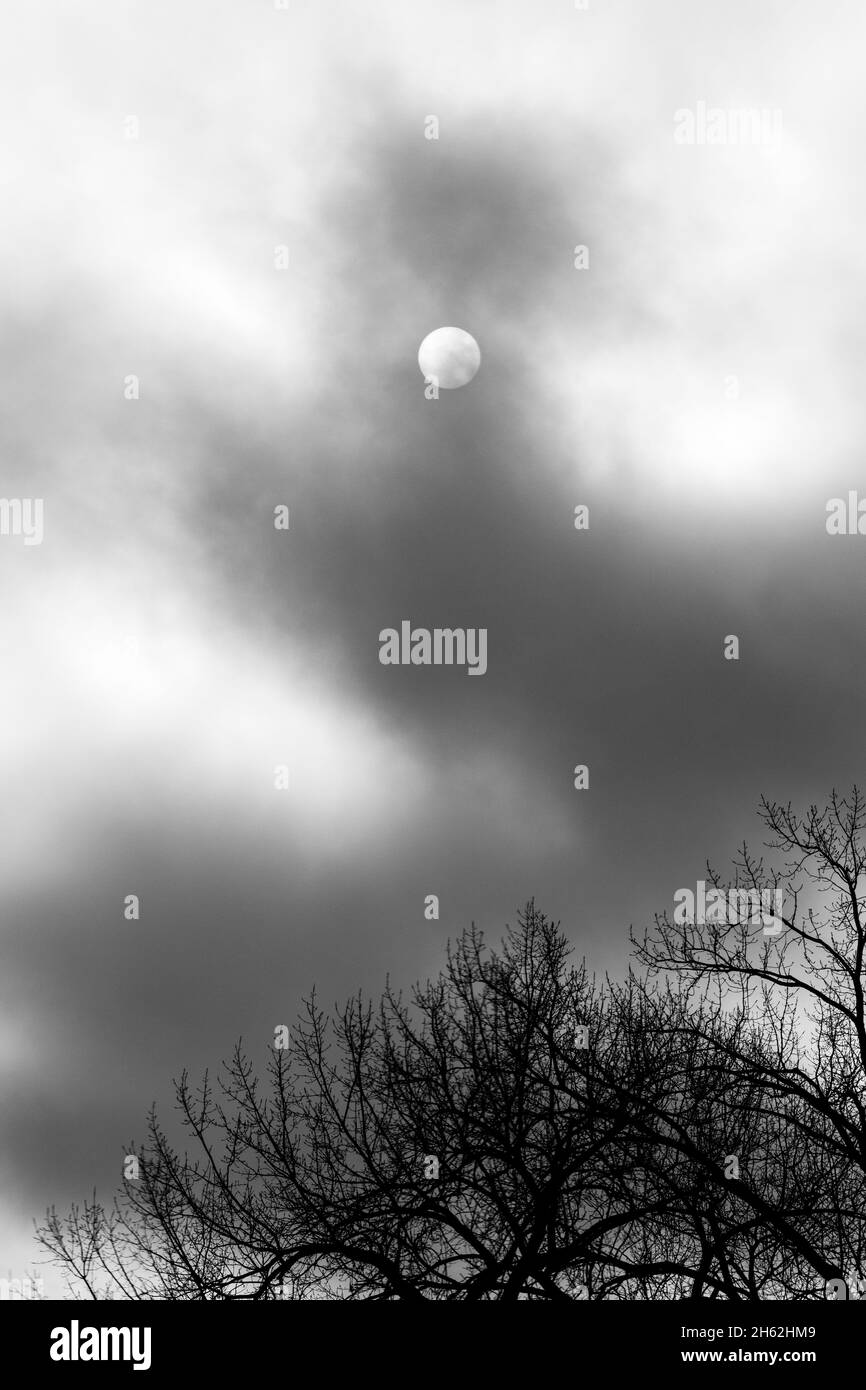 Fog partially Black and White Stock Photos & Images - Alamy