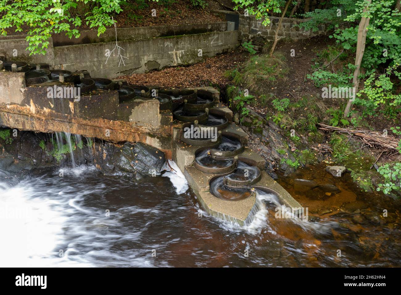 germany,saxony-anhalt,wernigerode,fish ladder for brown trout in the ...