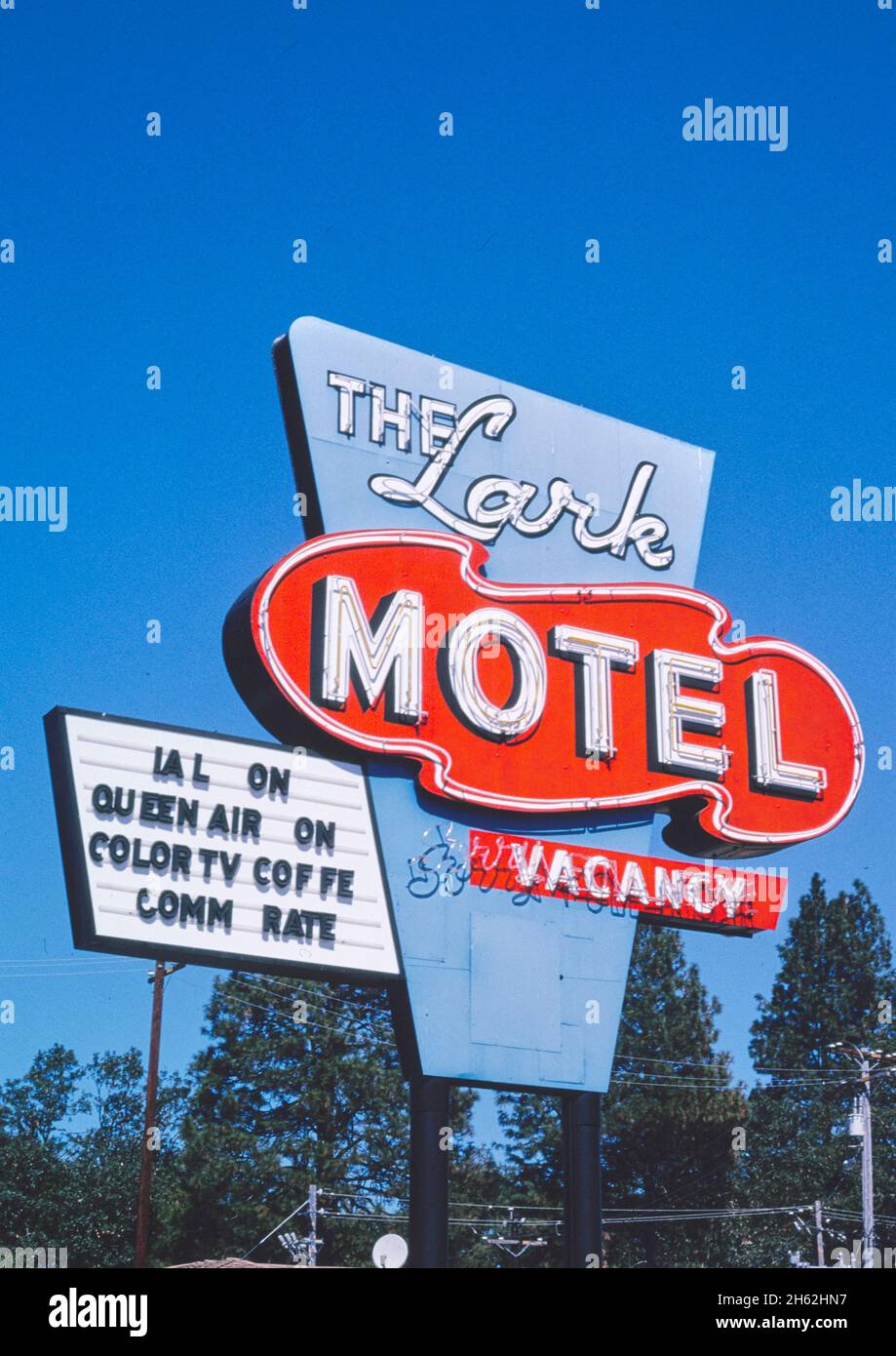 Lark Motel sign, vertical view, Route 101, Willits, California; ca ...