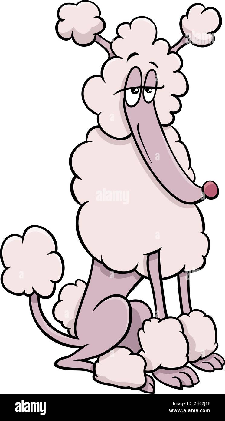 Cartoon illustration of poodle purebred dog animal character Stock ...