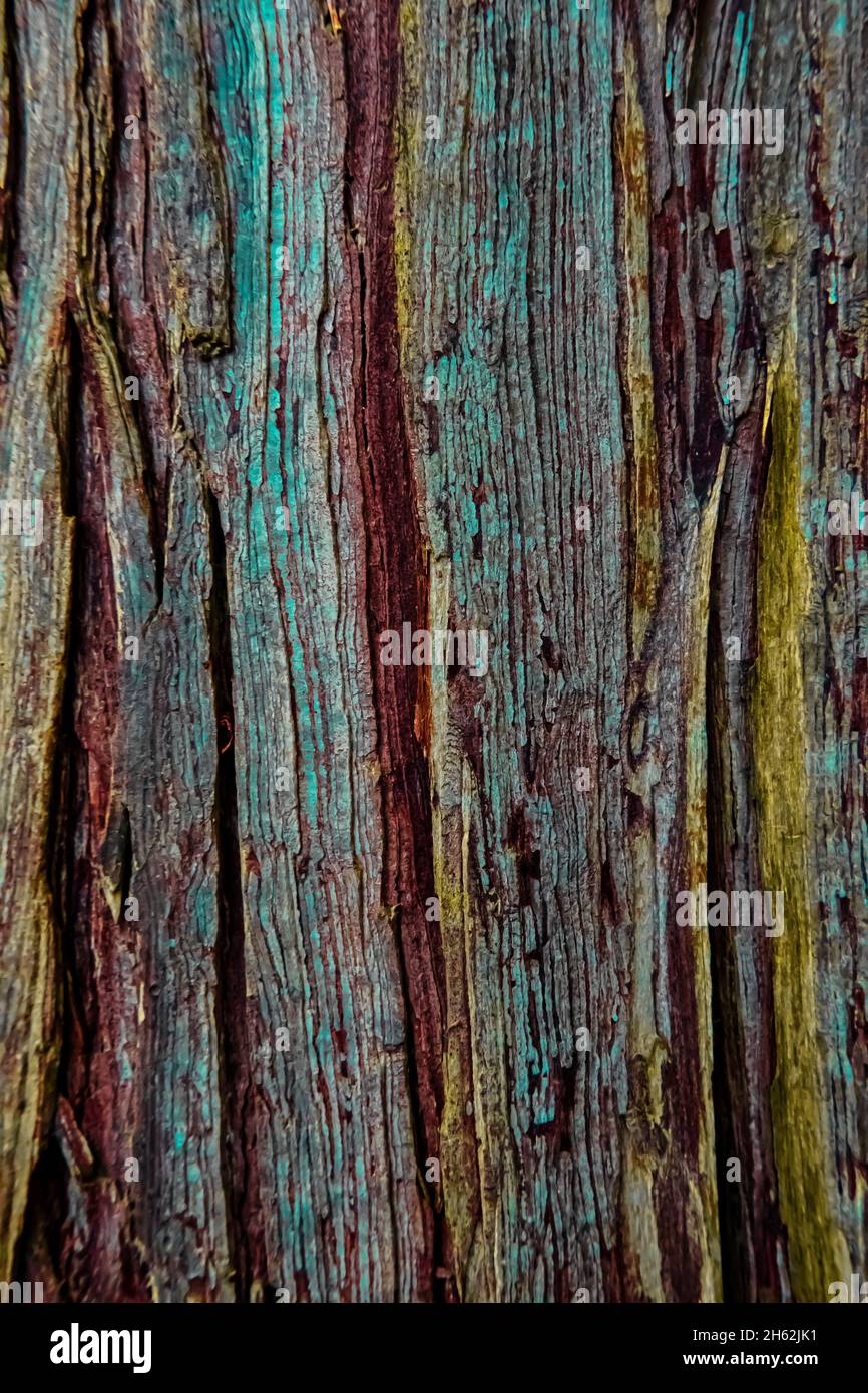 Colored bark pattern hi-res stock photography and images - Alamy