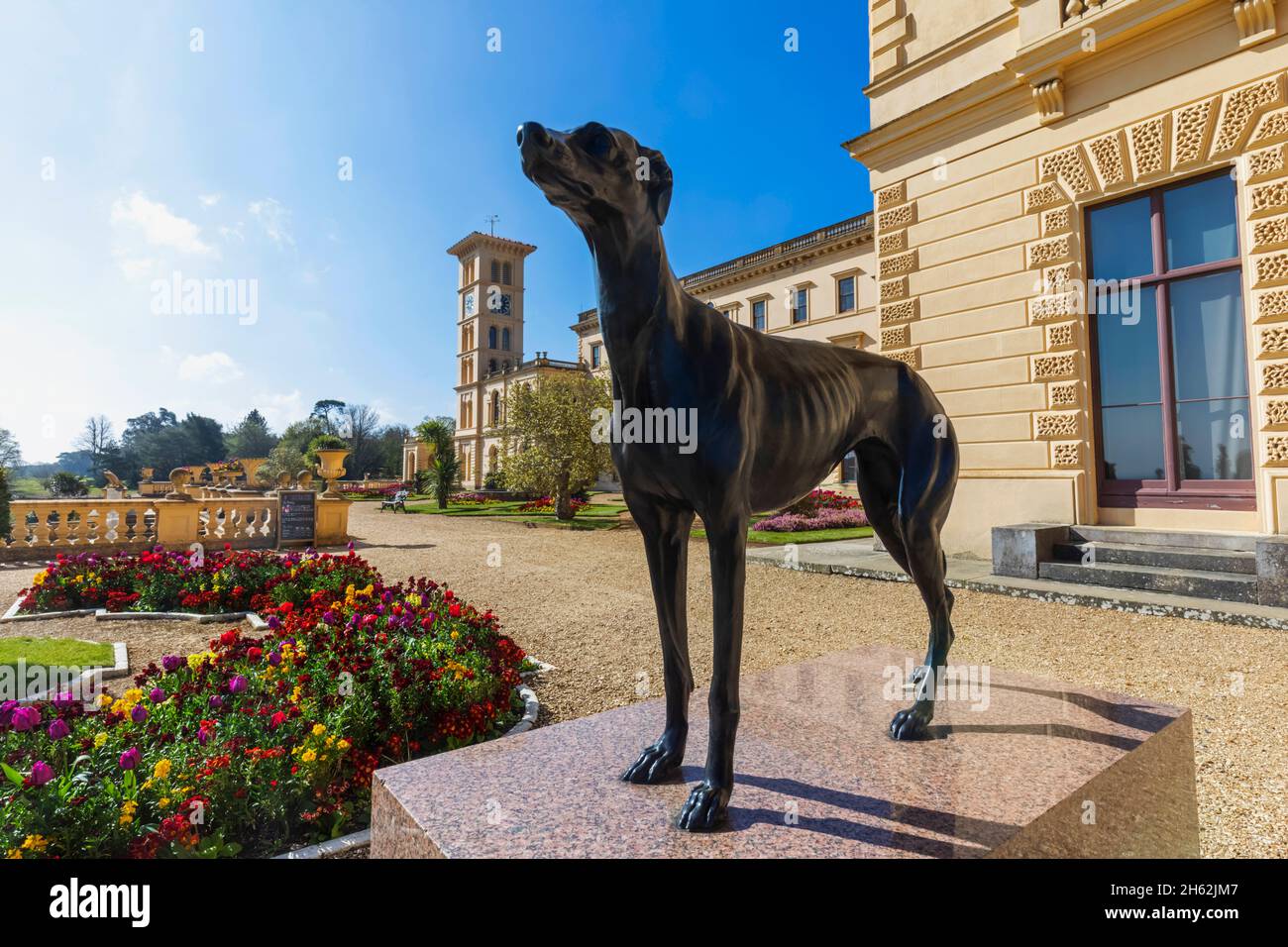 What Kind Of Dog Did Prince Albert Have