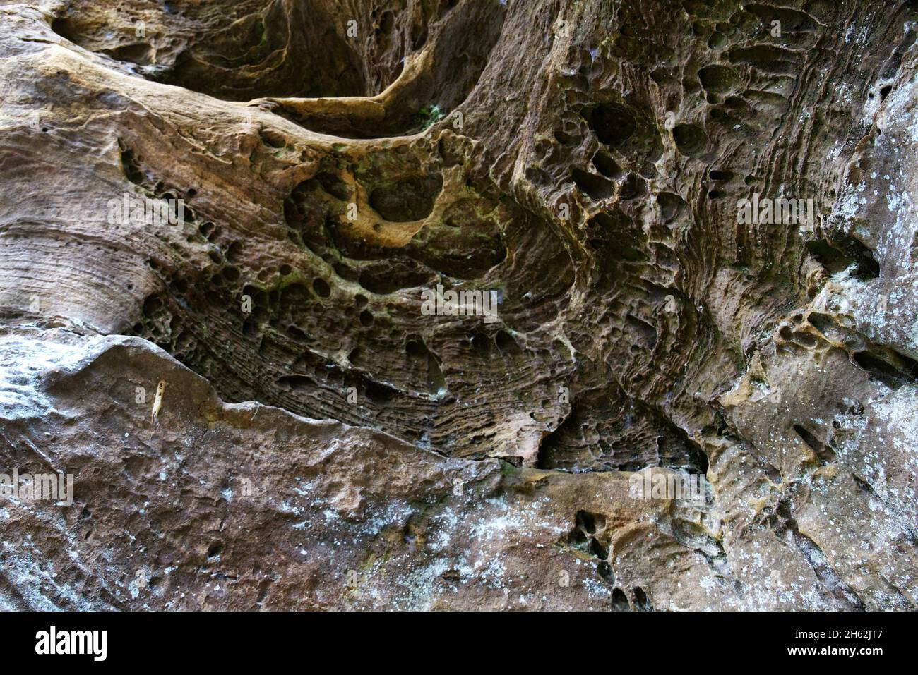 Old weathered rock formation with holes Stock Photo - Alamy