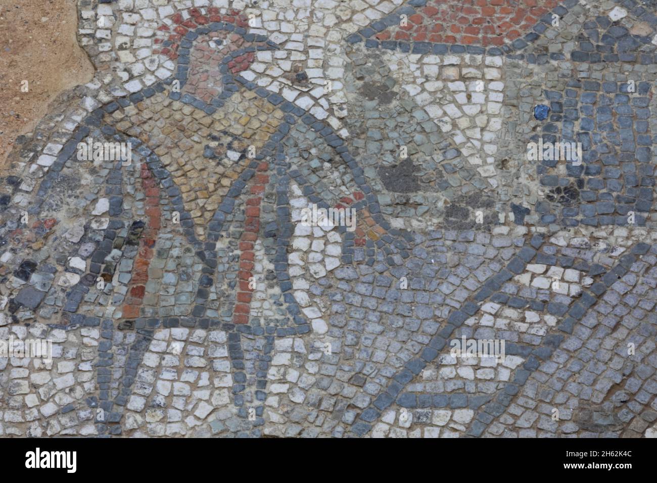 The gallus mosaic depicting a chicken headed man hi-res stock ...