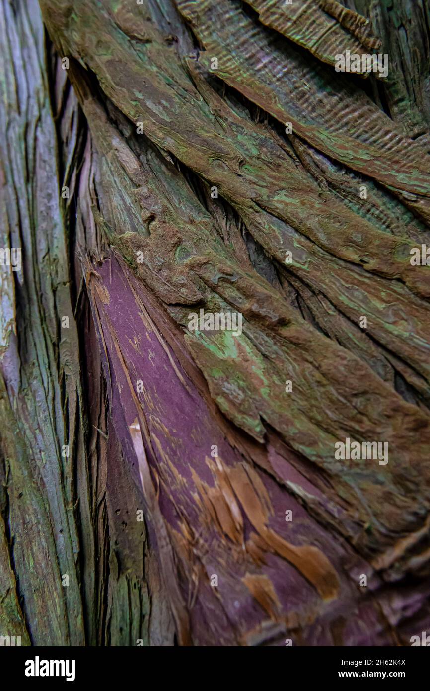 Simple wood patterns hi-res stock photography and images - Alamy