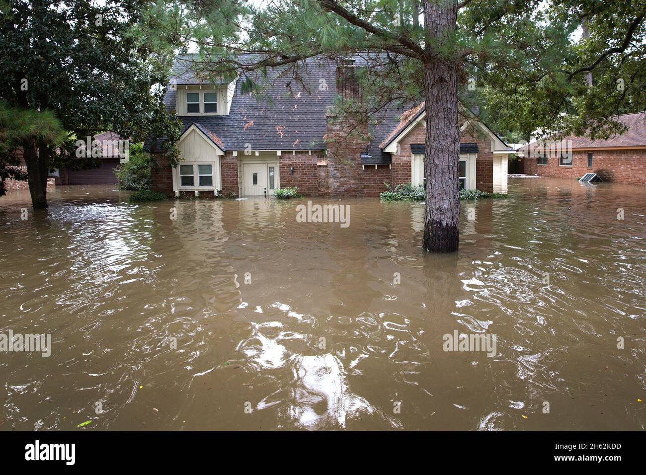 A home stands as an island in a sea of water in the wake of Hurricane ...