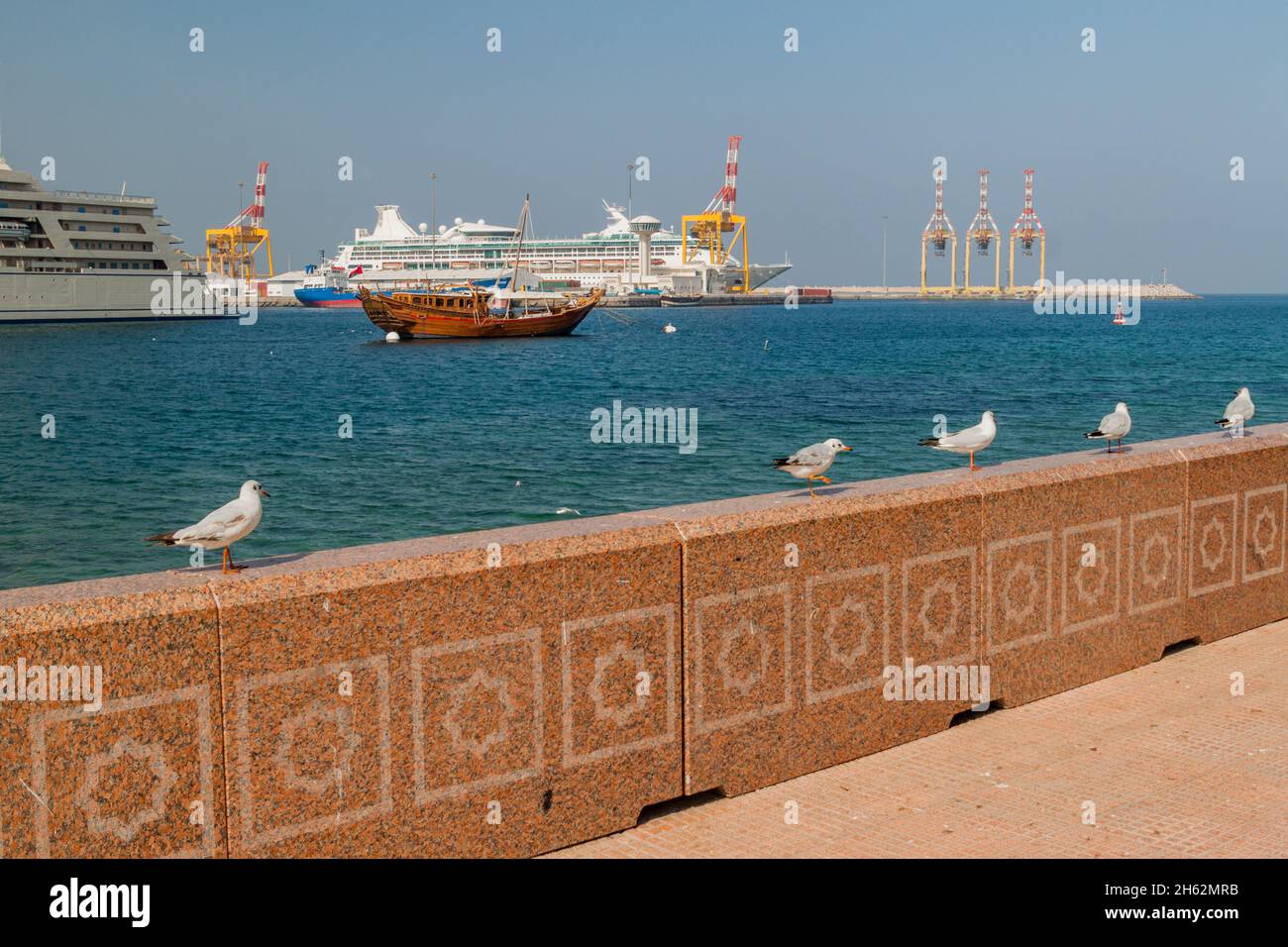 Sea gulls at Mutrah Corniche in Muscat, Oman Stock Photo - Alamy