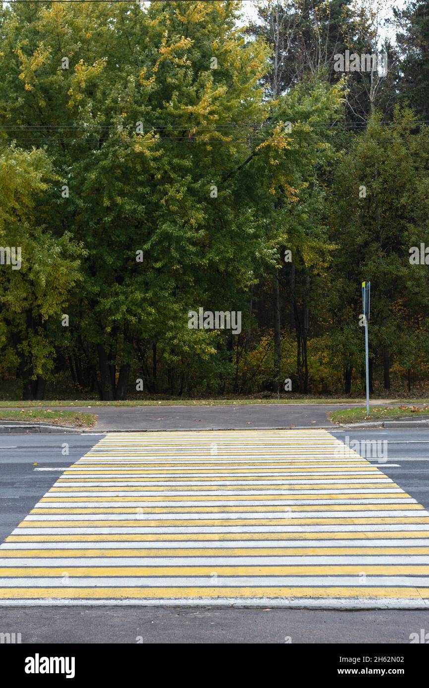 Yellow - white pedestrian crossing across the carriageway Stock Photo ...