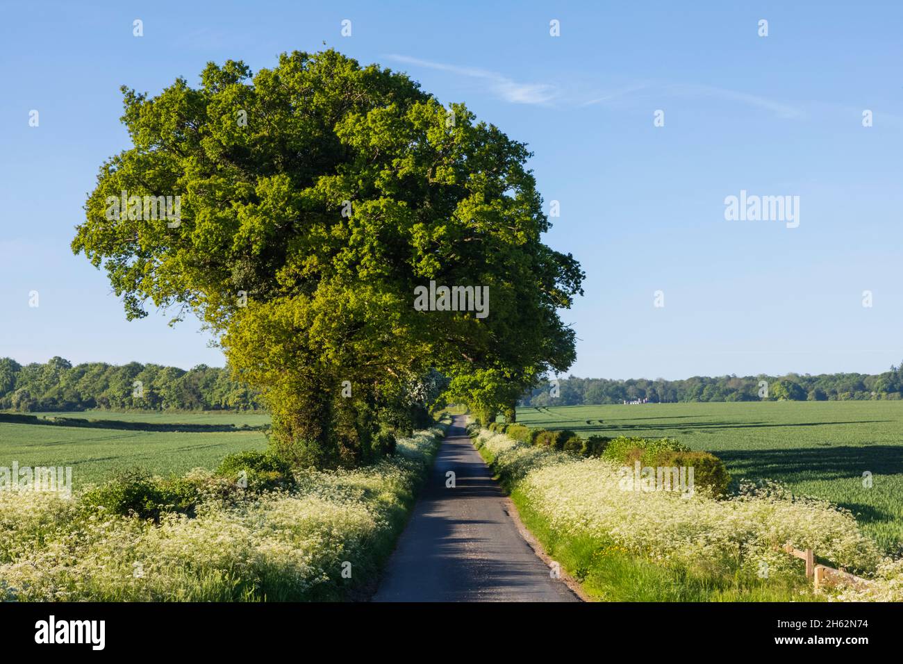 Country roads england hi-res stock photography and images - Alamy
