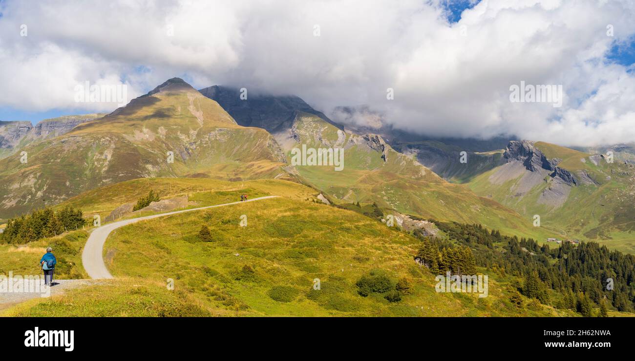 grosse scheidegg mountain pass Stock Photo - Alamy