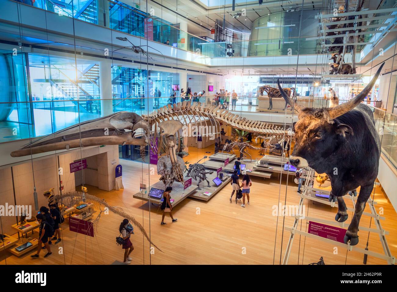 interior view of the muse,science museum,trento,trentino,italy Stock ...