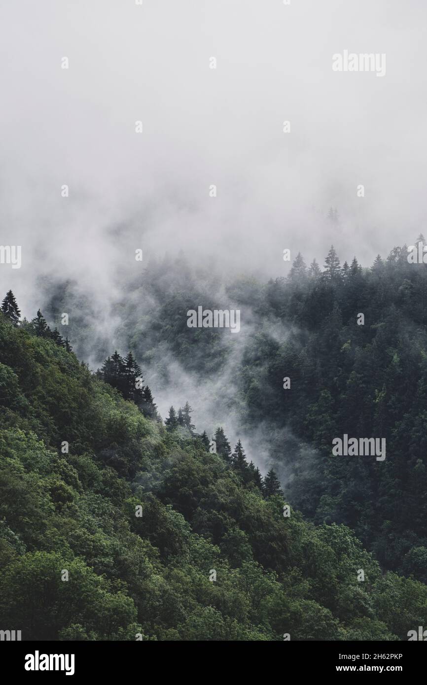 Mellau hi-res stock photography and images - Alamy