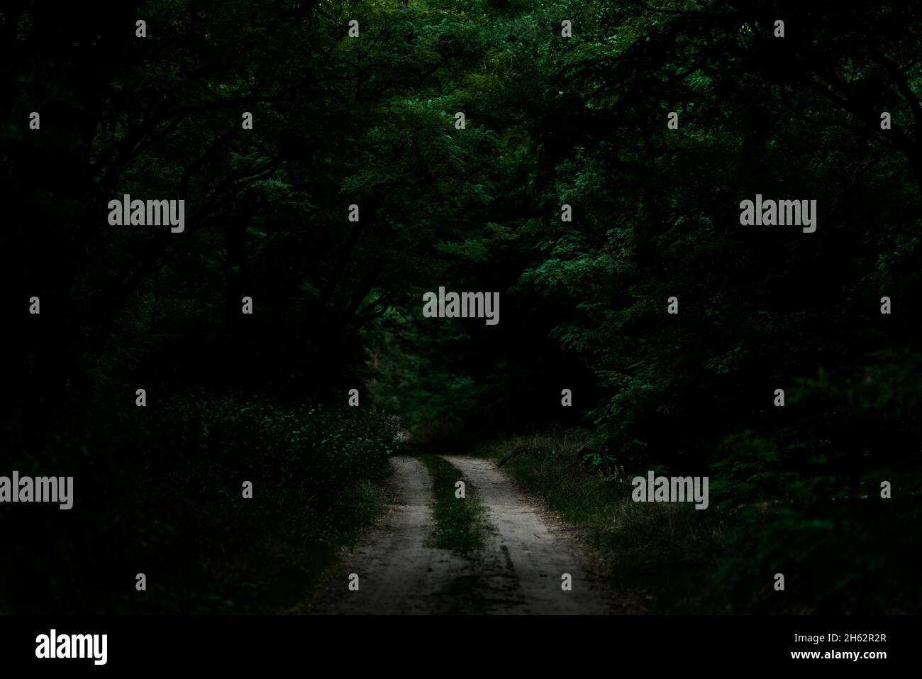 Mood management hi-res stock photography and images - Alamy