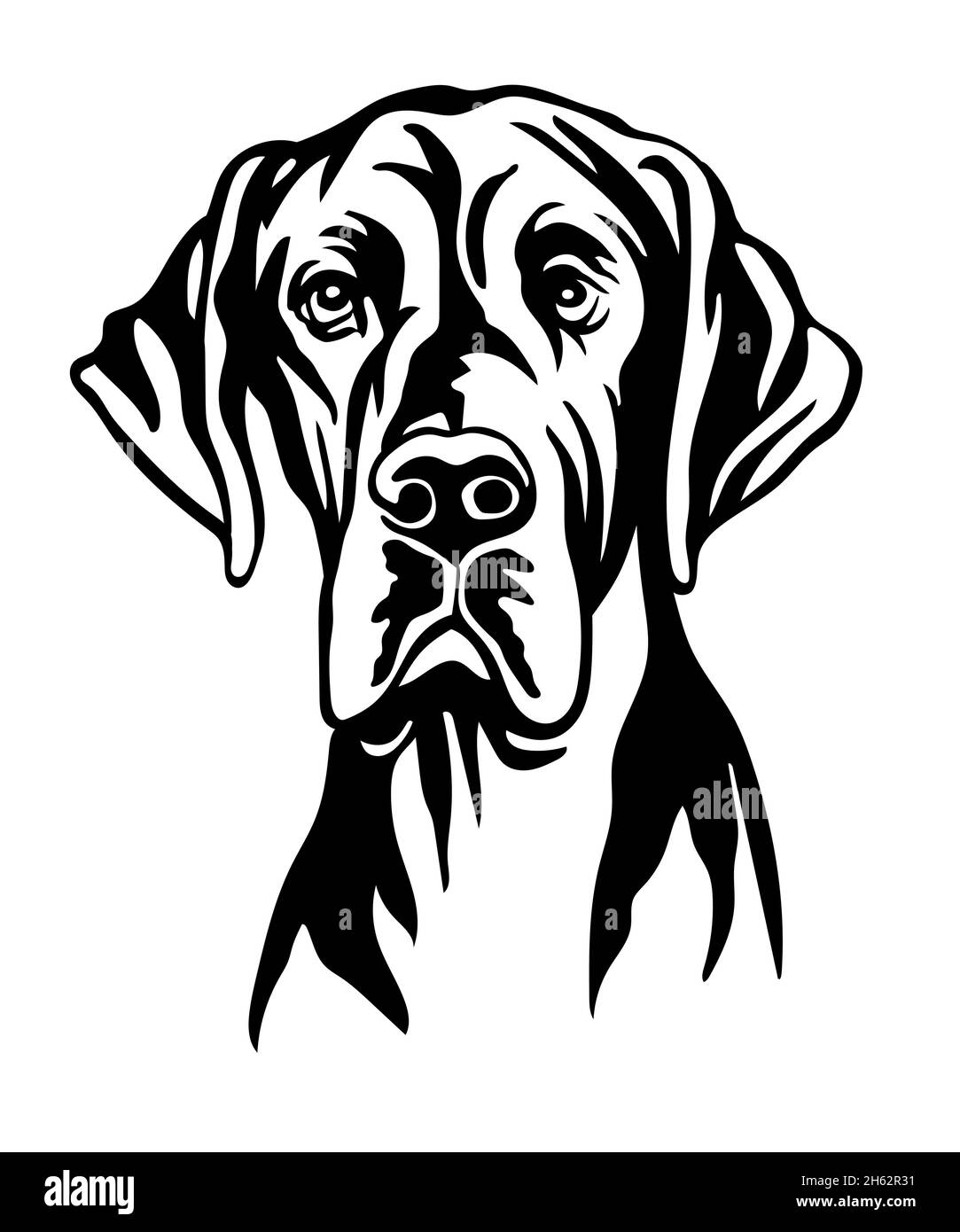 Great dane dog black contour portrait. Dog head in front view vector ...