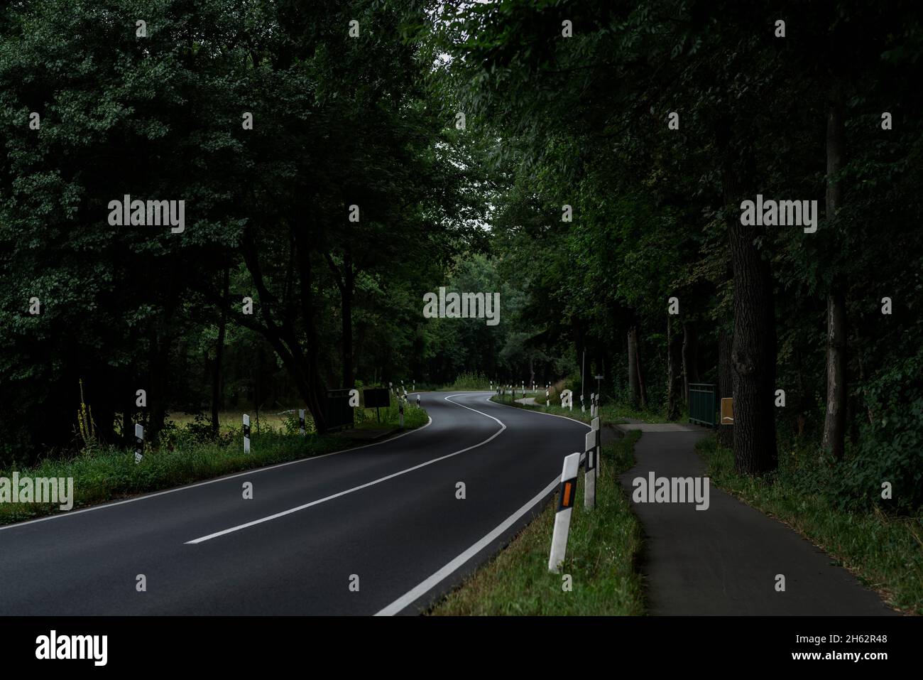 country road with cycle path next to it,many trees on the roadside ...