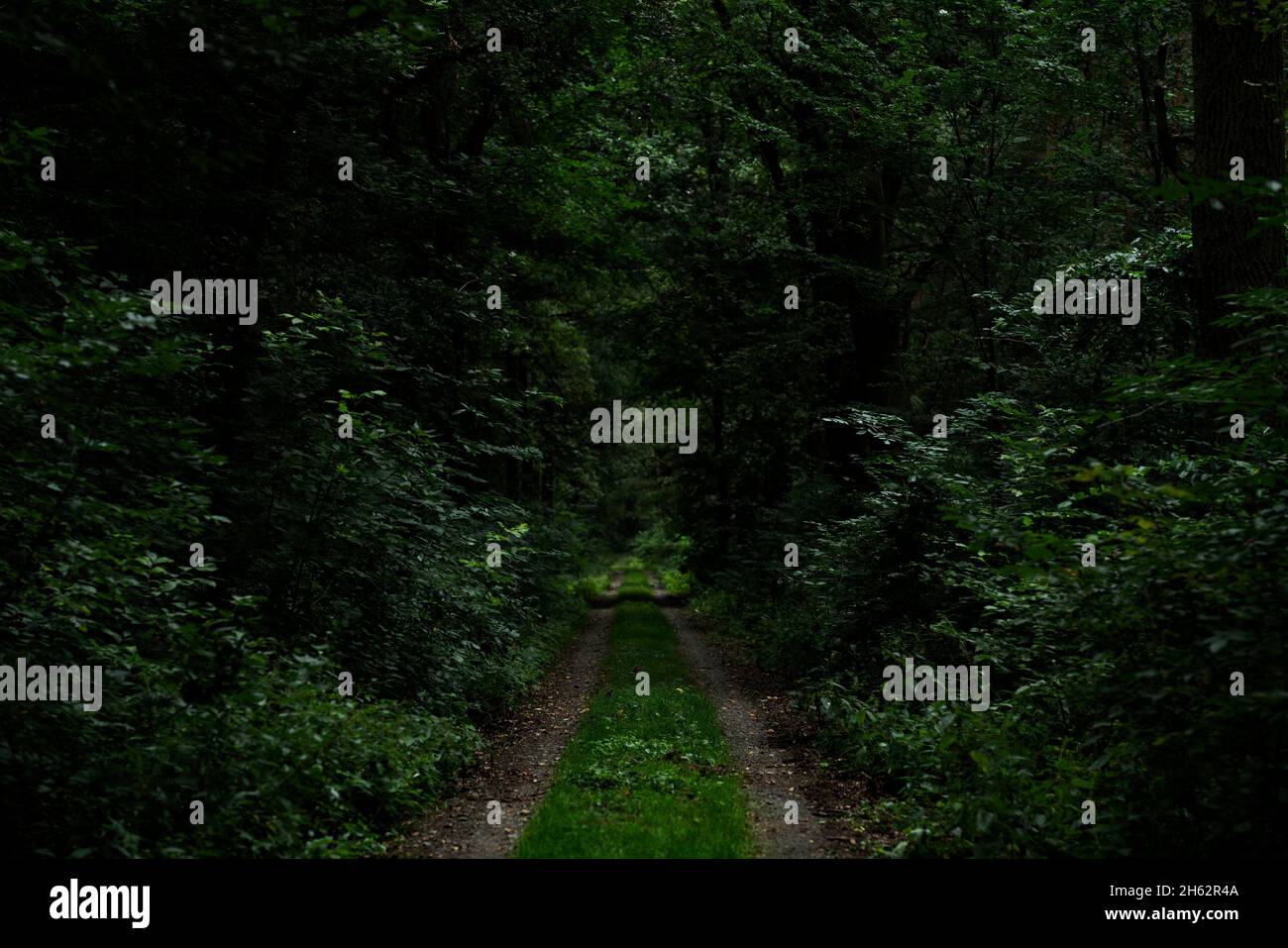 Soft path hi-res stock photography and images - Alamy