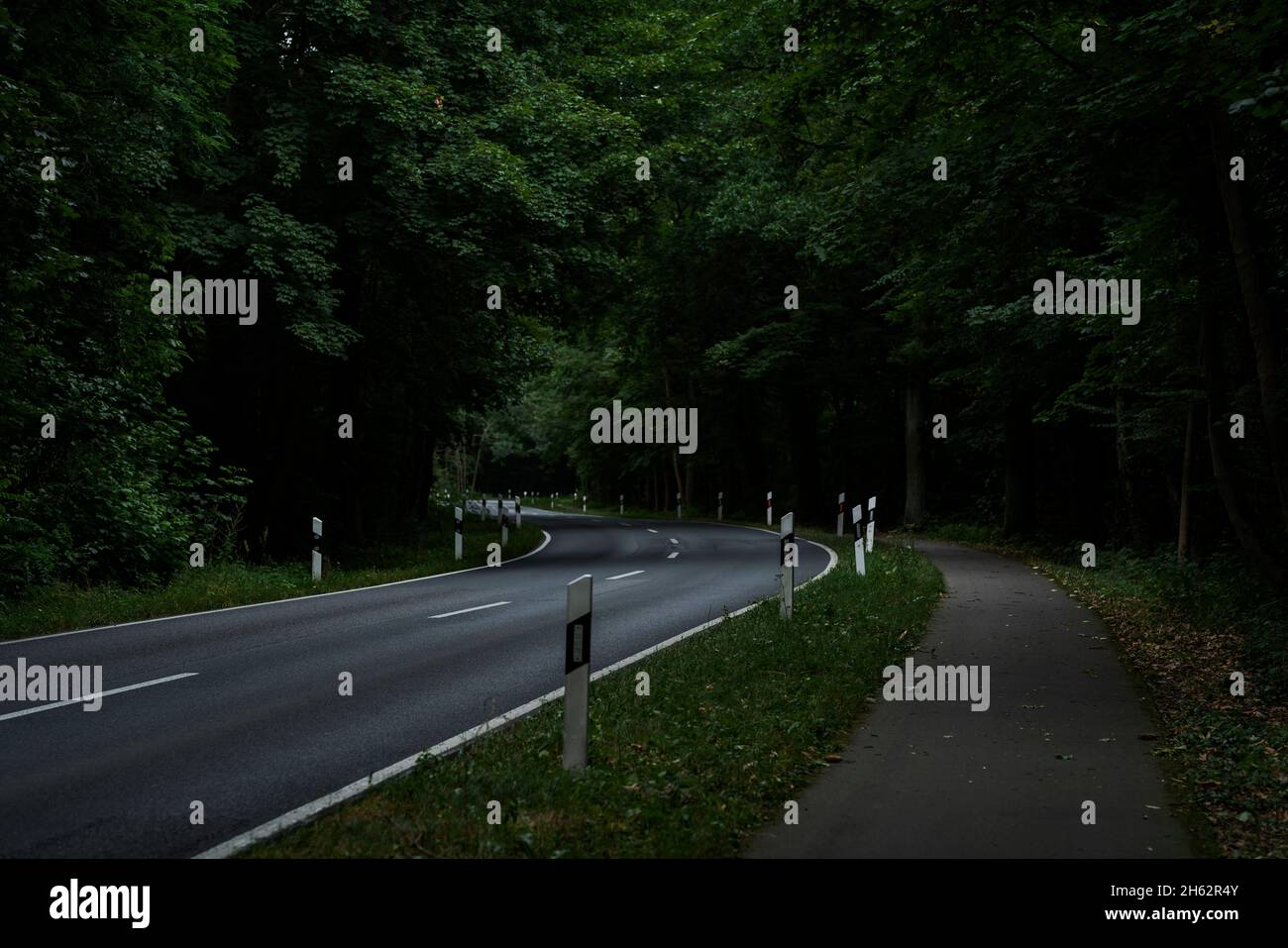country road with cycle path next to it,many trees on the roadside ...