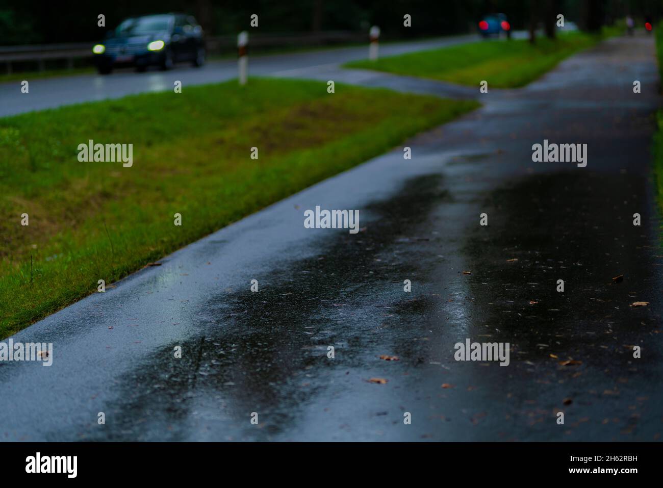 wet bike path next to a country road,very shallow depth of field,very ...