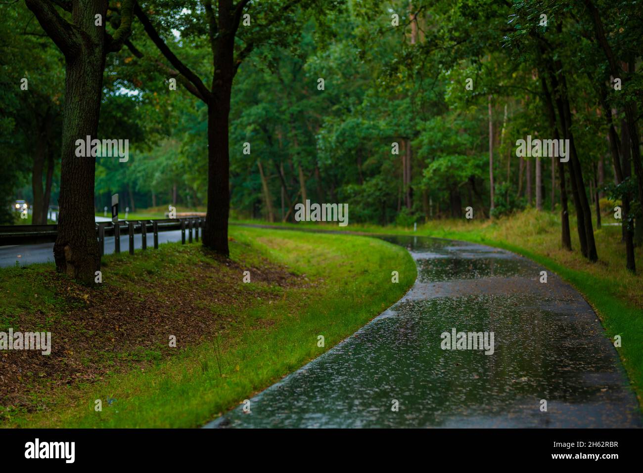 autumn weather,wet bike path next to a country road after a rain shower ...