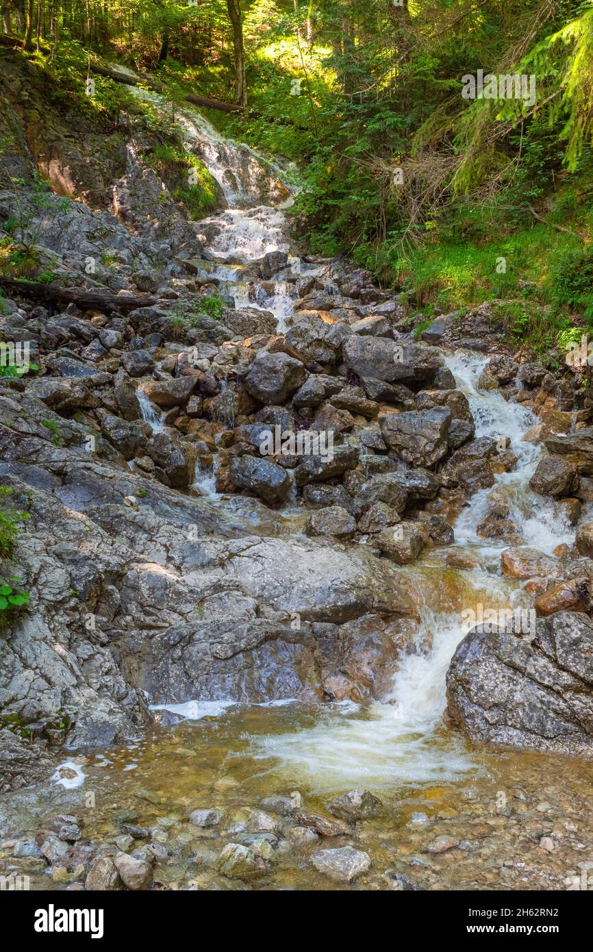 kotbach am eibsee-rudweg,grainau,werdenfelser land,upper bavaria ...