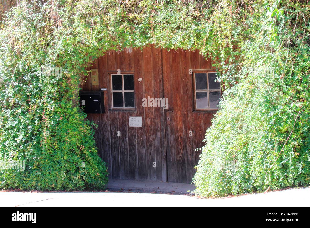 green overgrown house entrance,absam,tyrol,austria Stock Photo - Alamy