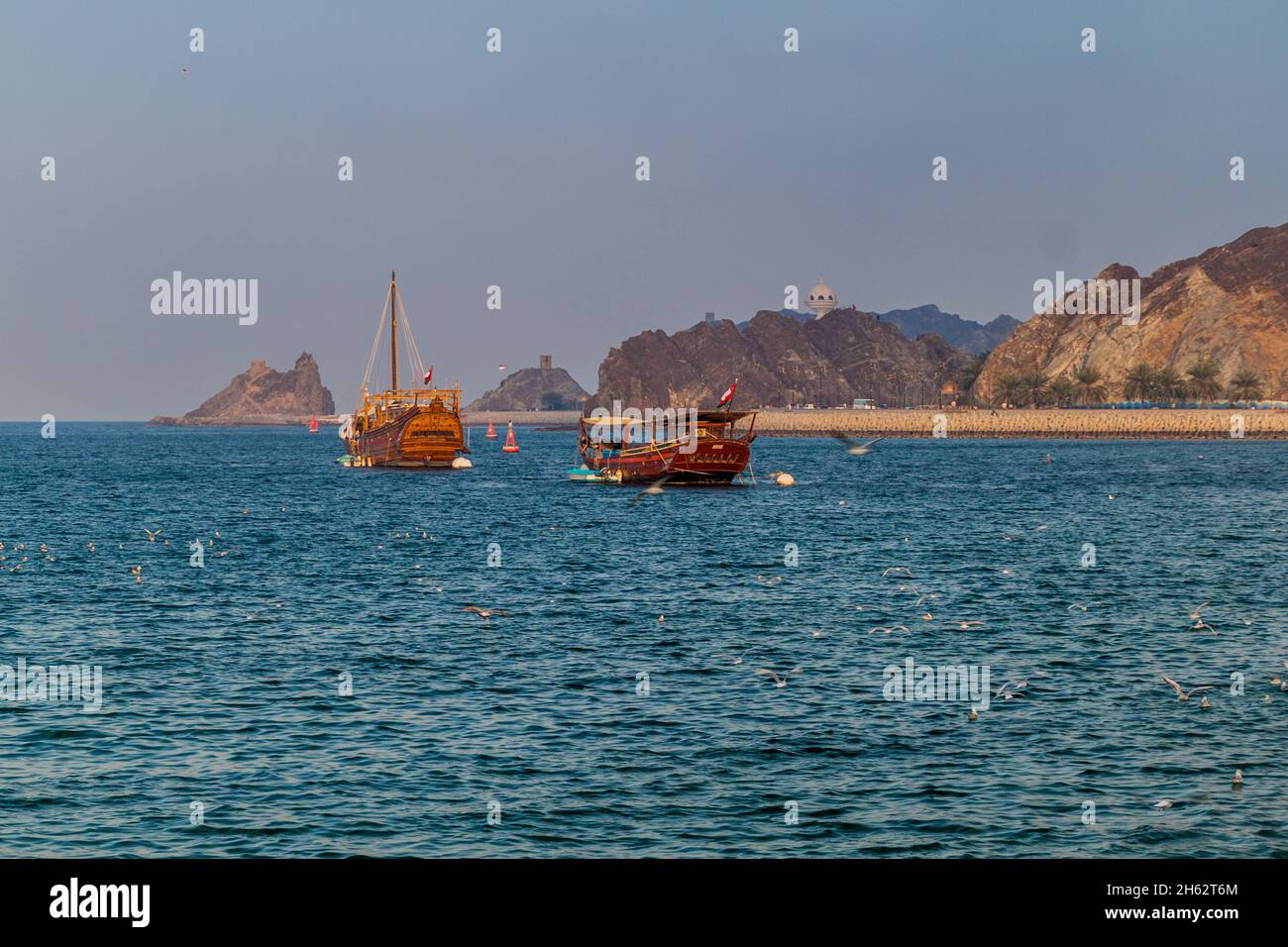 Traditional dhow boats near Mutrah Corniche in Muscat, Oman Stock Photo ...