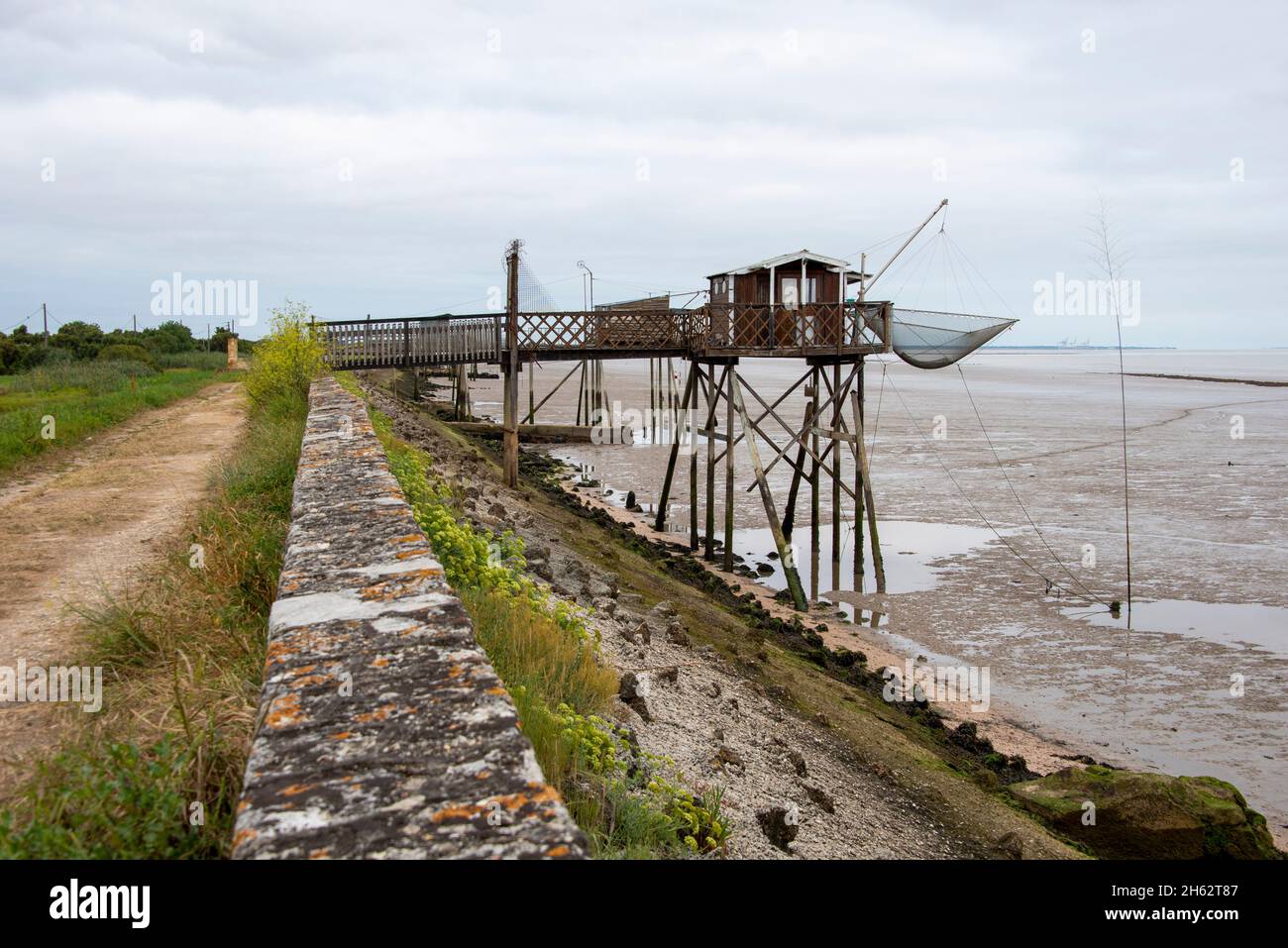 Jau fish hi-res stock photography and images - Alamy