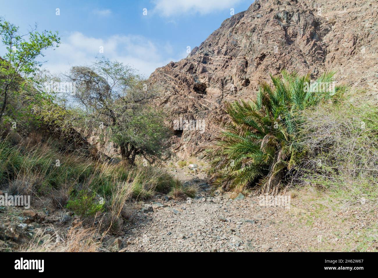 Desolate hills near Muttrah district of Muscat, Oman Stock Photo - Alamy