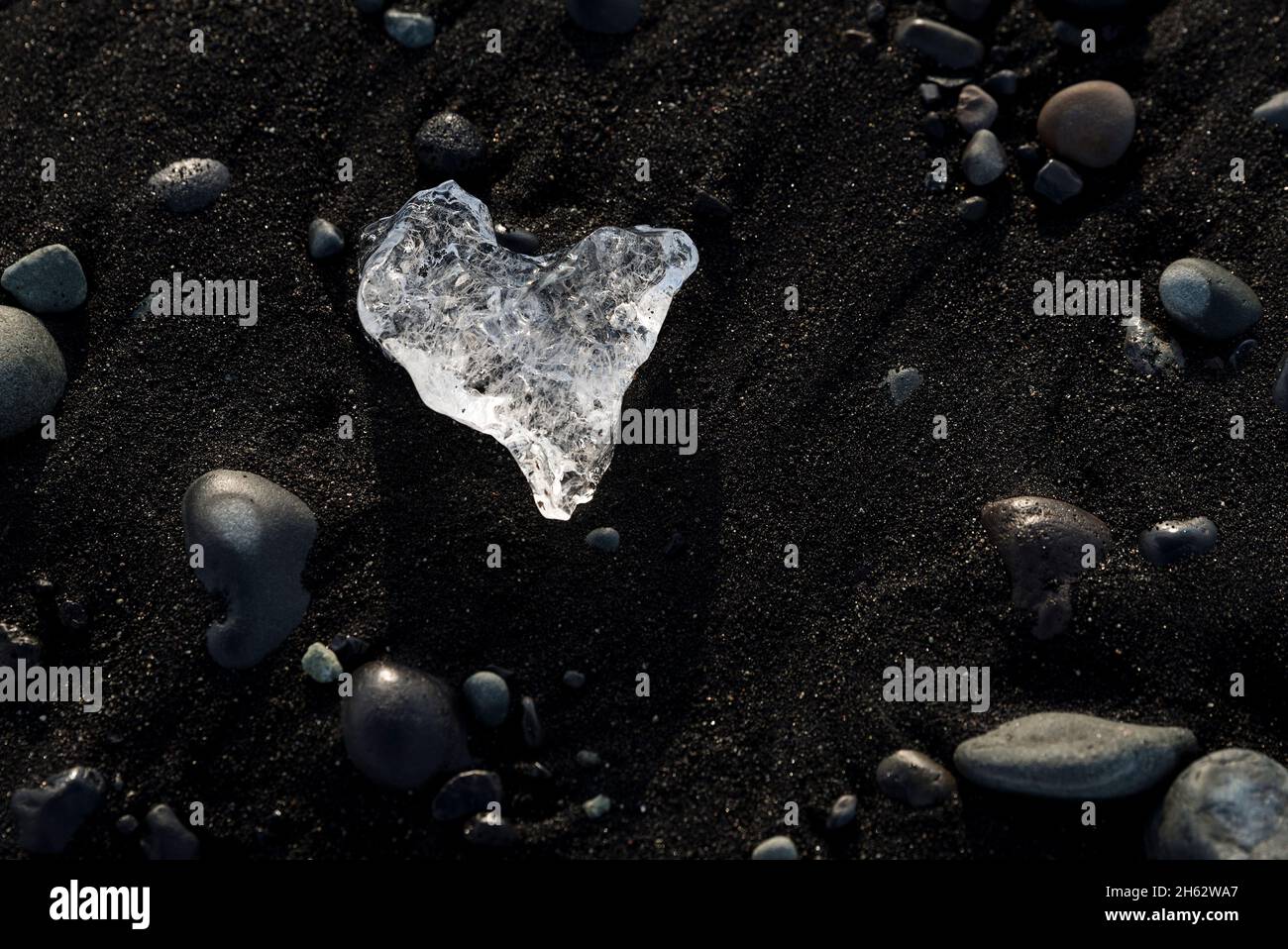heart-shaped piece of ice on the black beach,stretch of coast near the ...