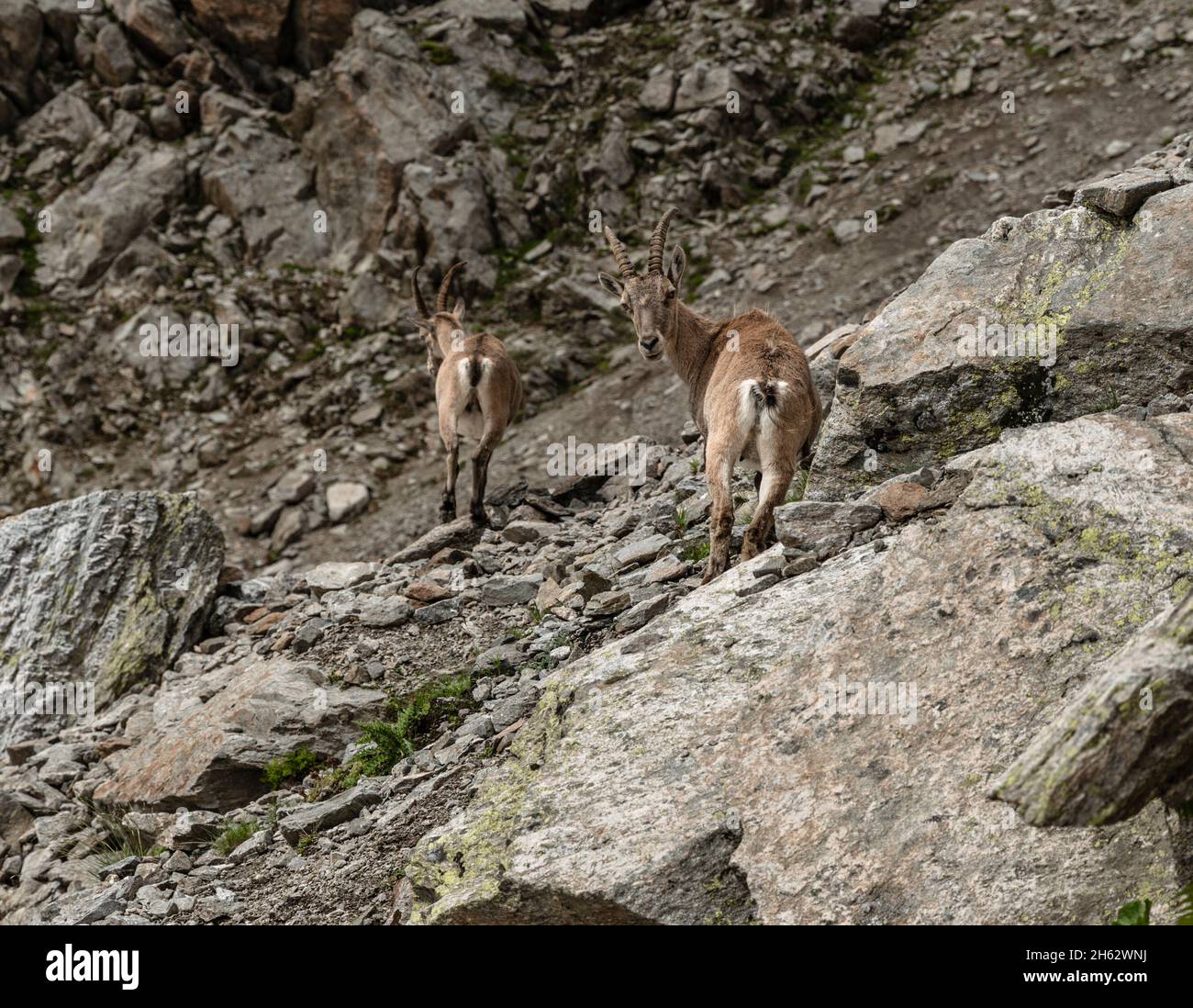 Rock duet hi-res stock photography and images - Alamy