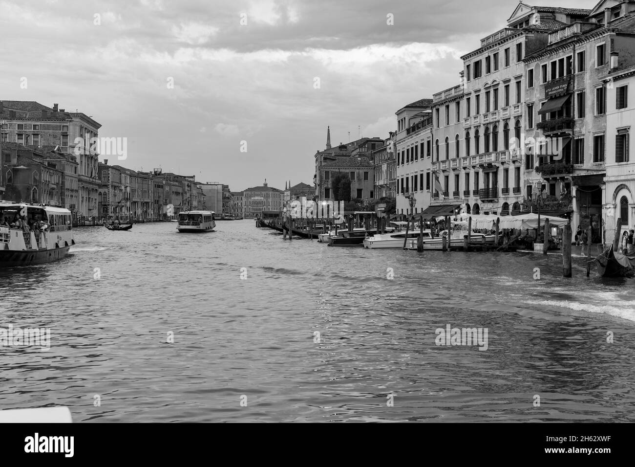 Primary nature Black and White Stock Photos & Images - Alamy