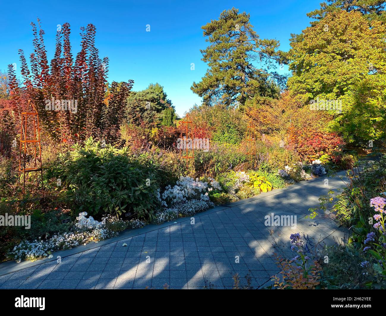 Bronx, NY, USA - Nov 13, 2021: Pedestrian path through the foliage at ...