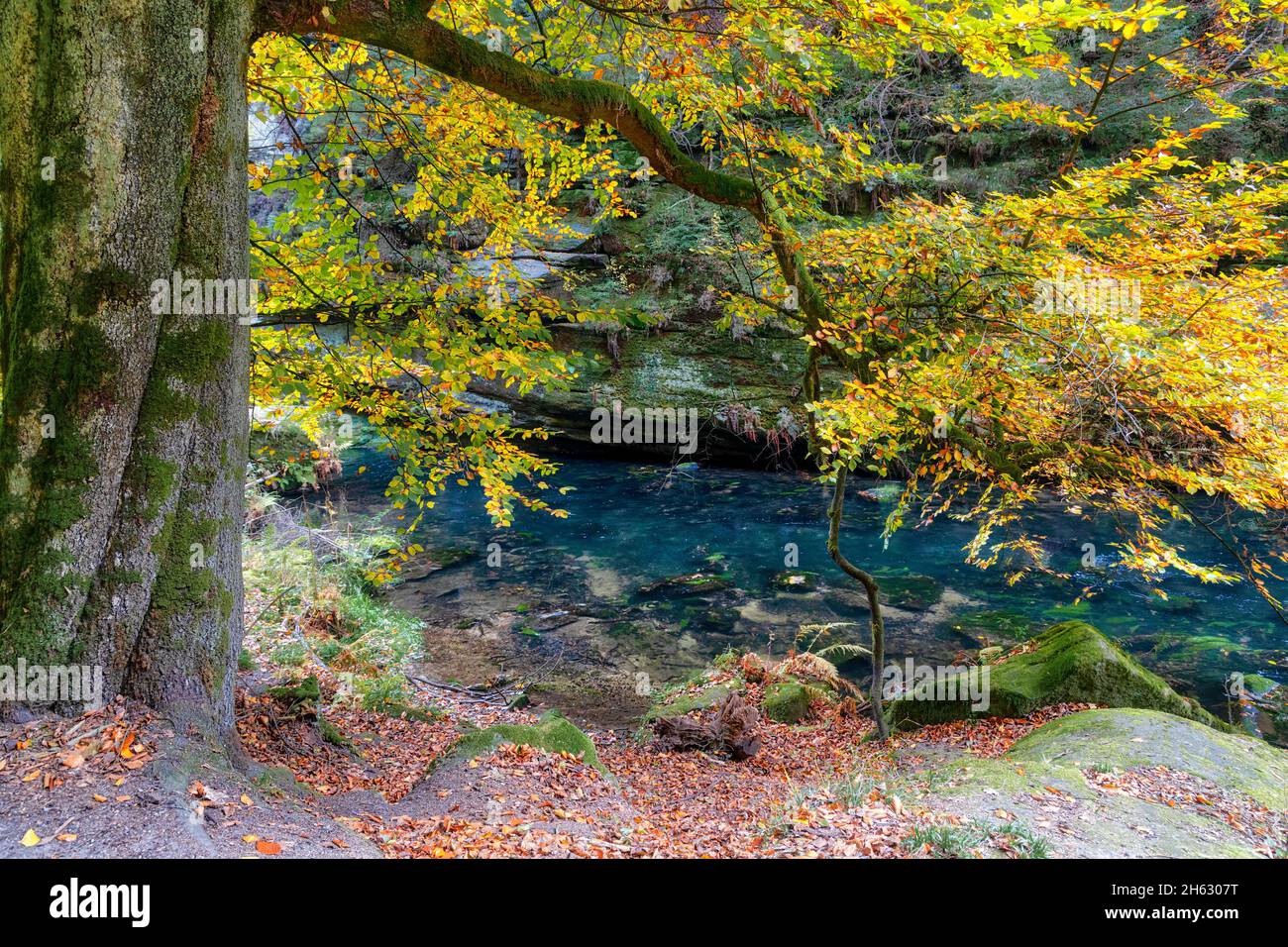 Edmundsklamm Elbsandsteingebirge böhmische Schweiz Stock Photo - Alamy