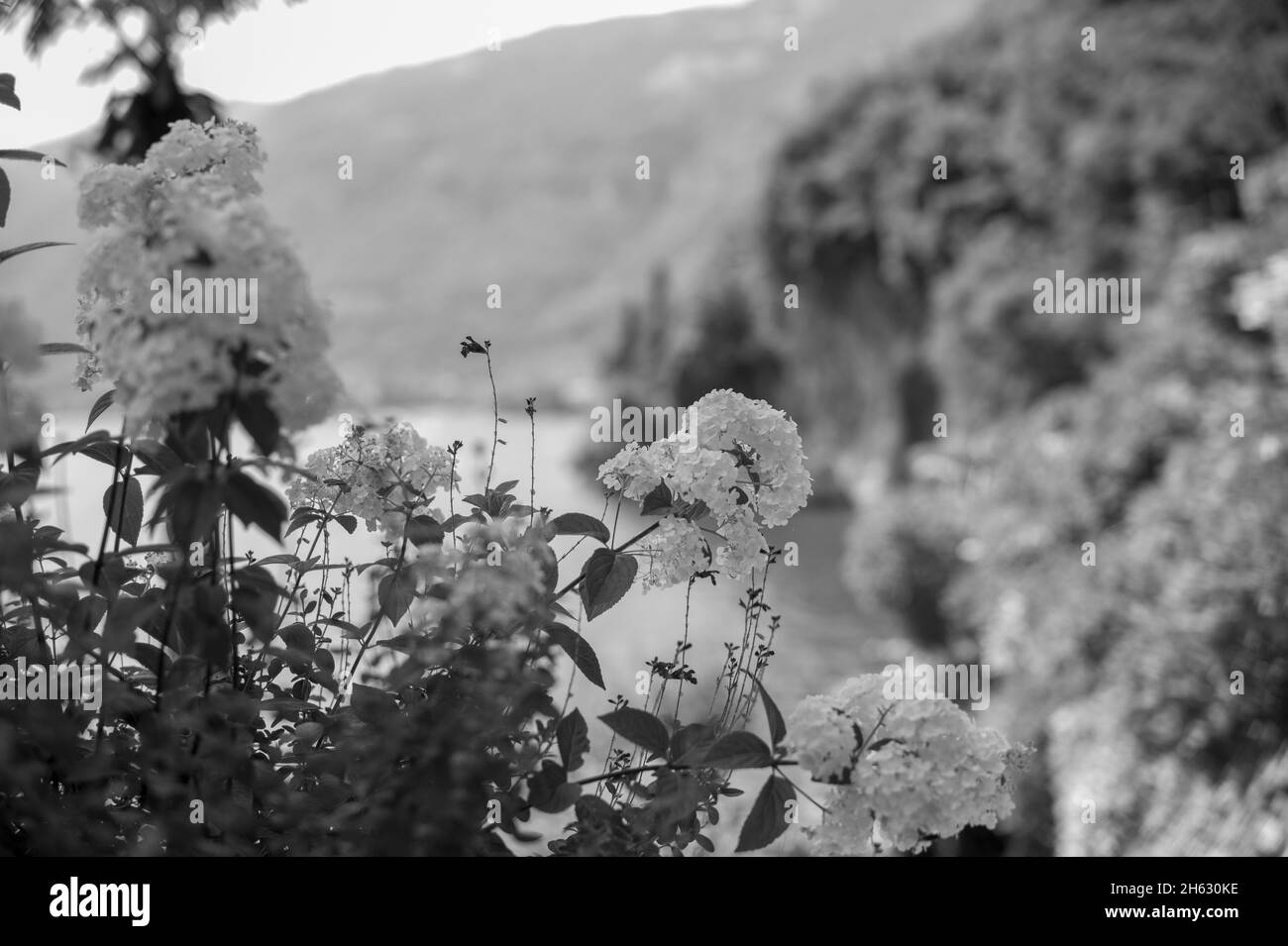 beautiful famous villa del balbianello,lenno,lake como,italy - filming ...