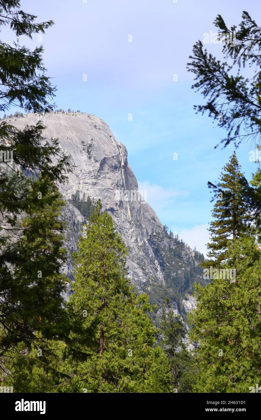 Yosemite National Park's mountains and forests Stock Photo - Alamy
