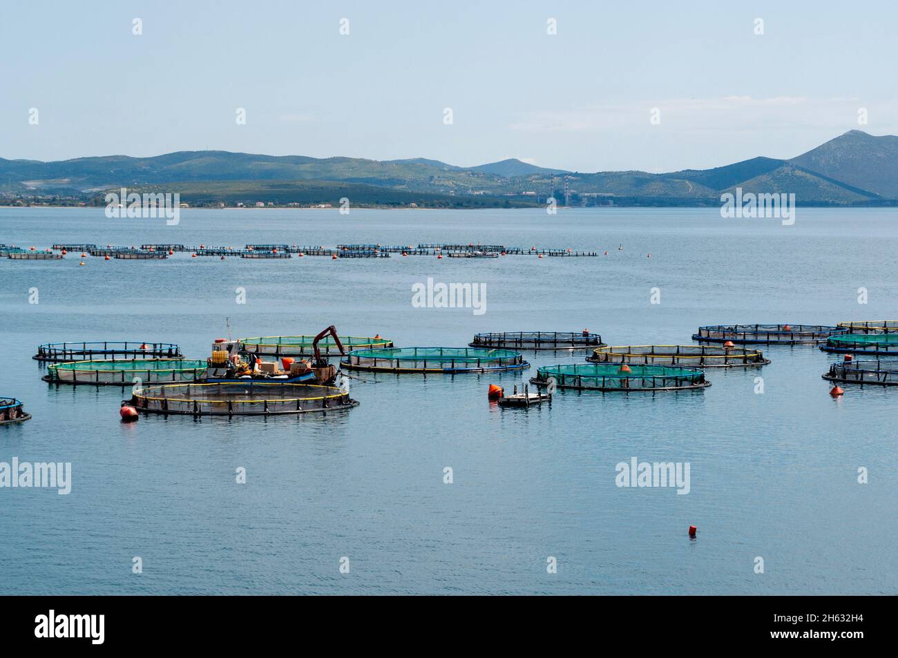 Fish farm greece hi-res stock photography and images - Alamy