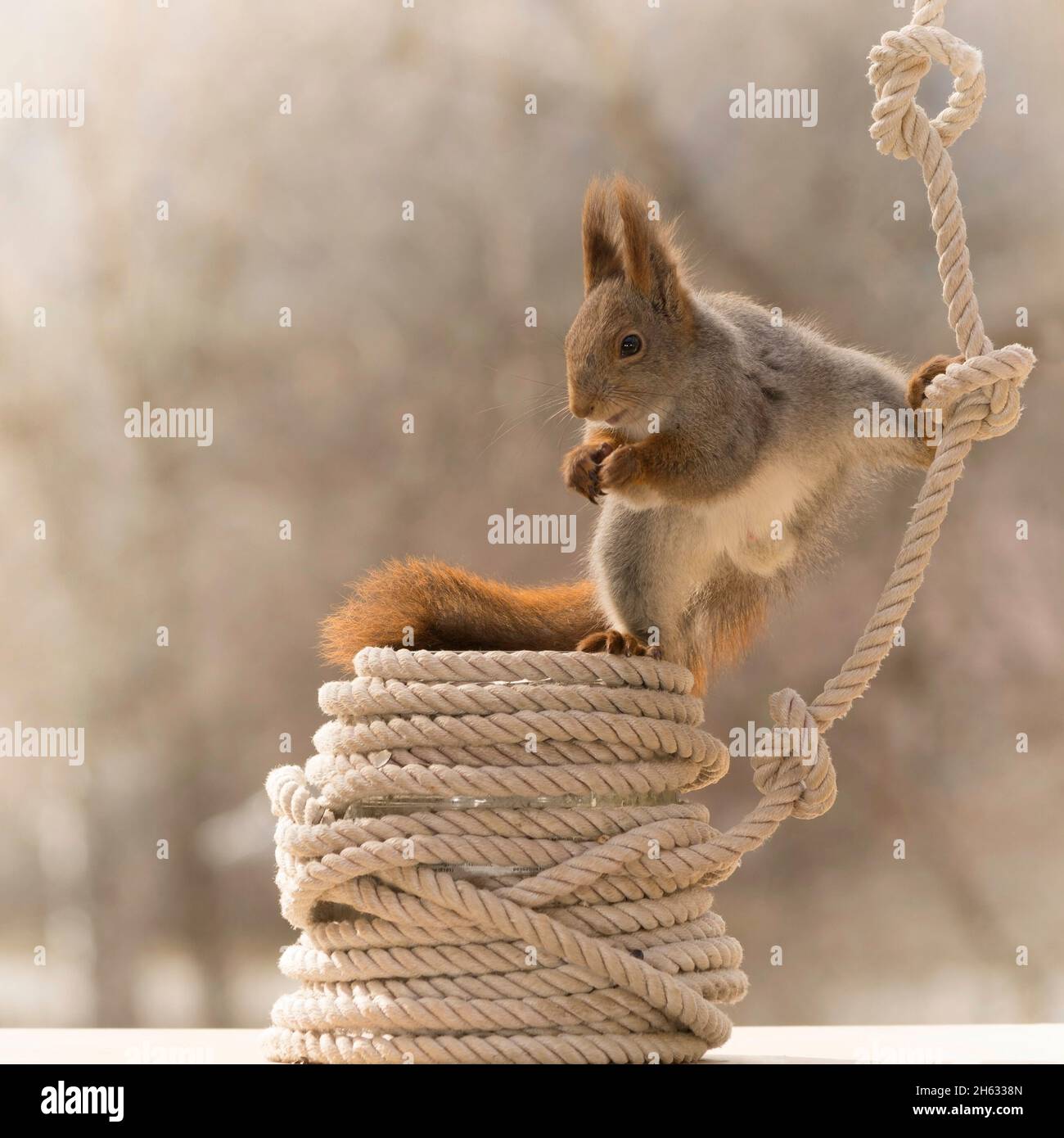 Holding A Rope High Resolution Stock Photography and Images - Alamy