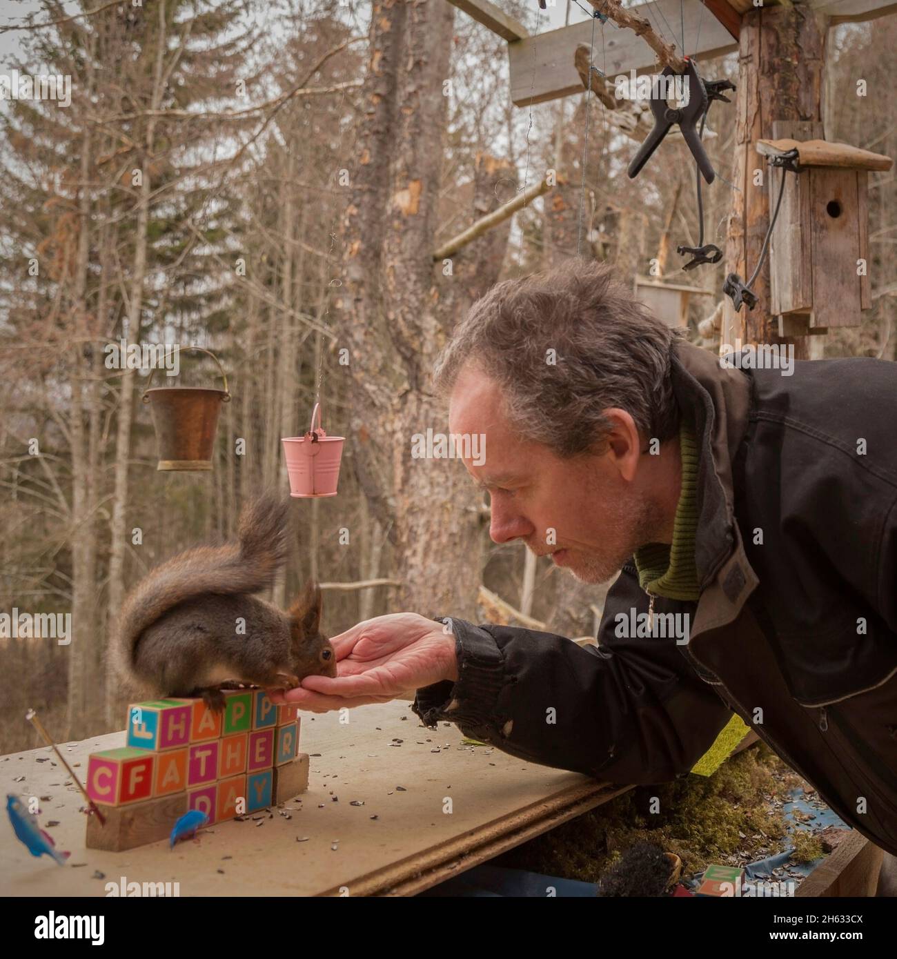 Human feeding squirrel hi-res stock photography and images - Alamy