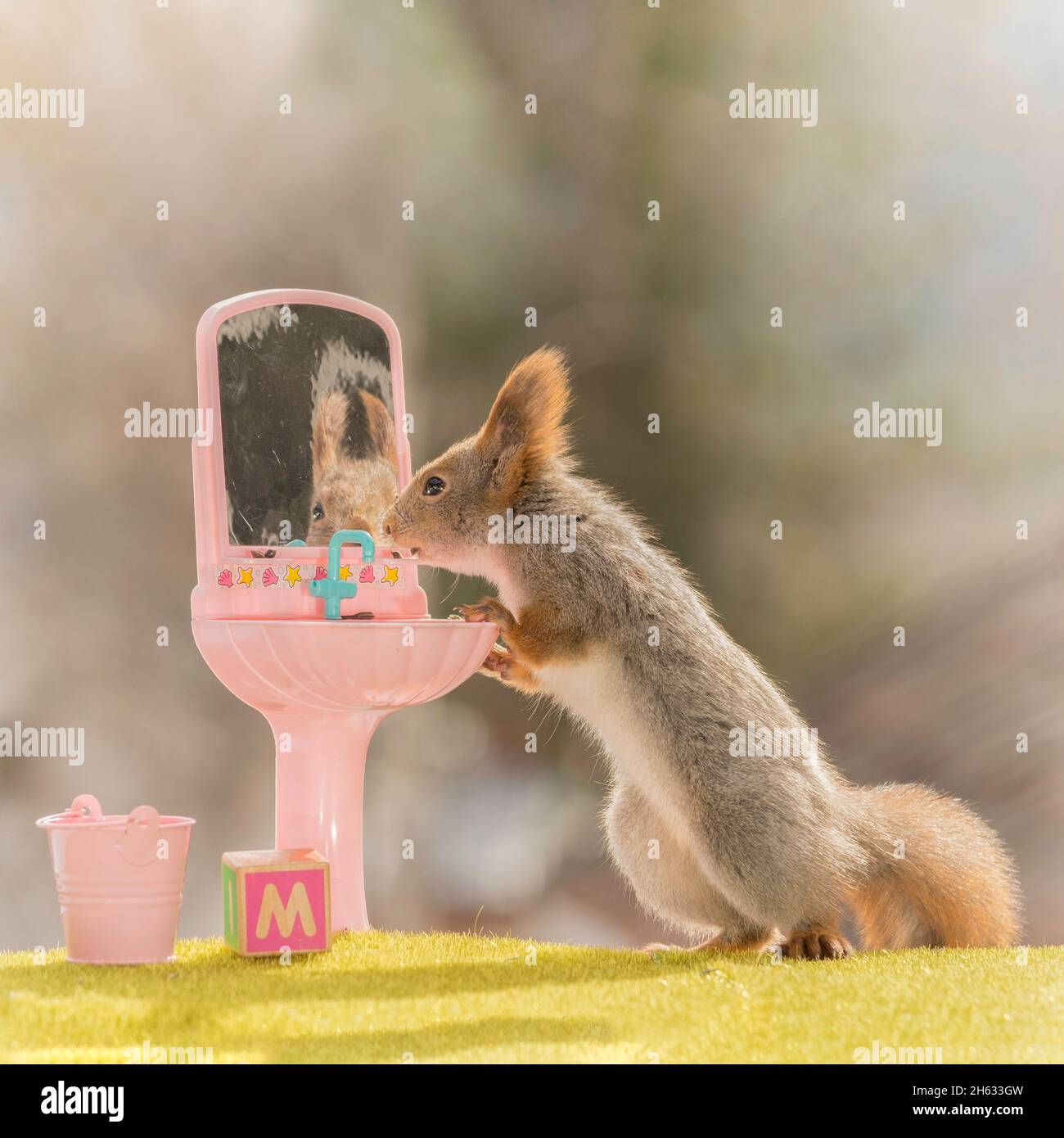 Mirror school hi-res stock photography and images - Alamy