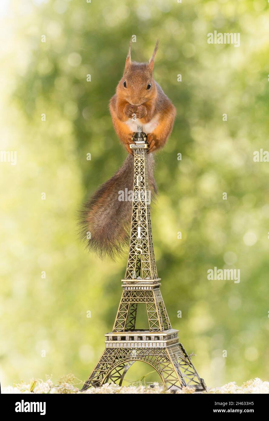 Eiffel tower looking up hi-res stock photography and images - Alamy