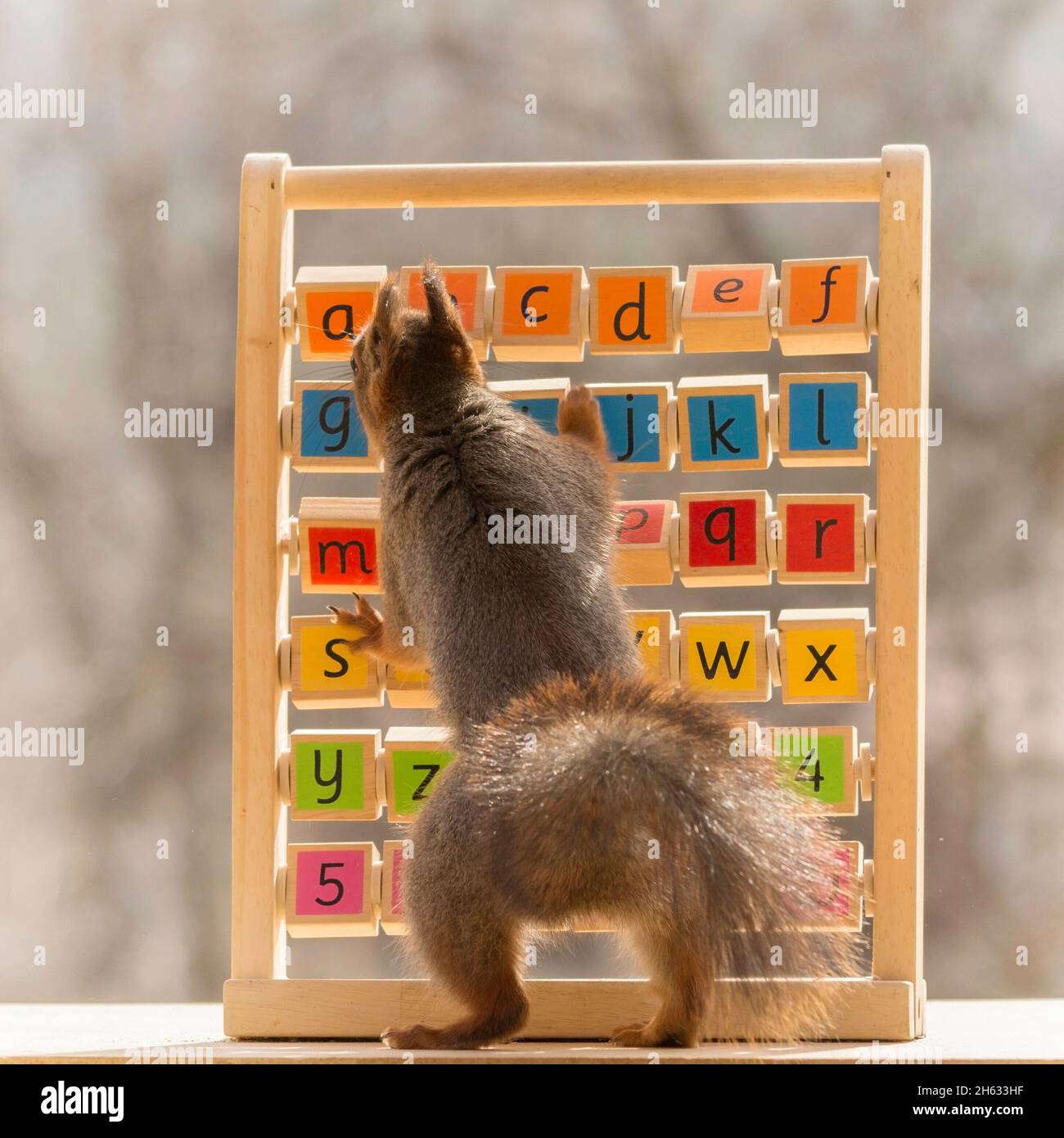 Standing frame hi-res stock photography and images - Alamy