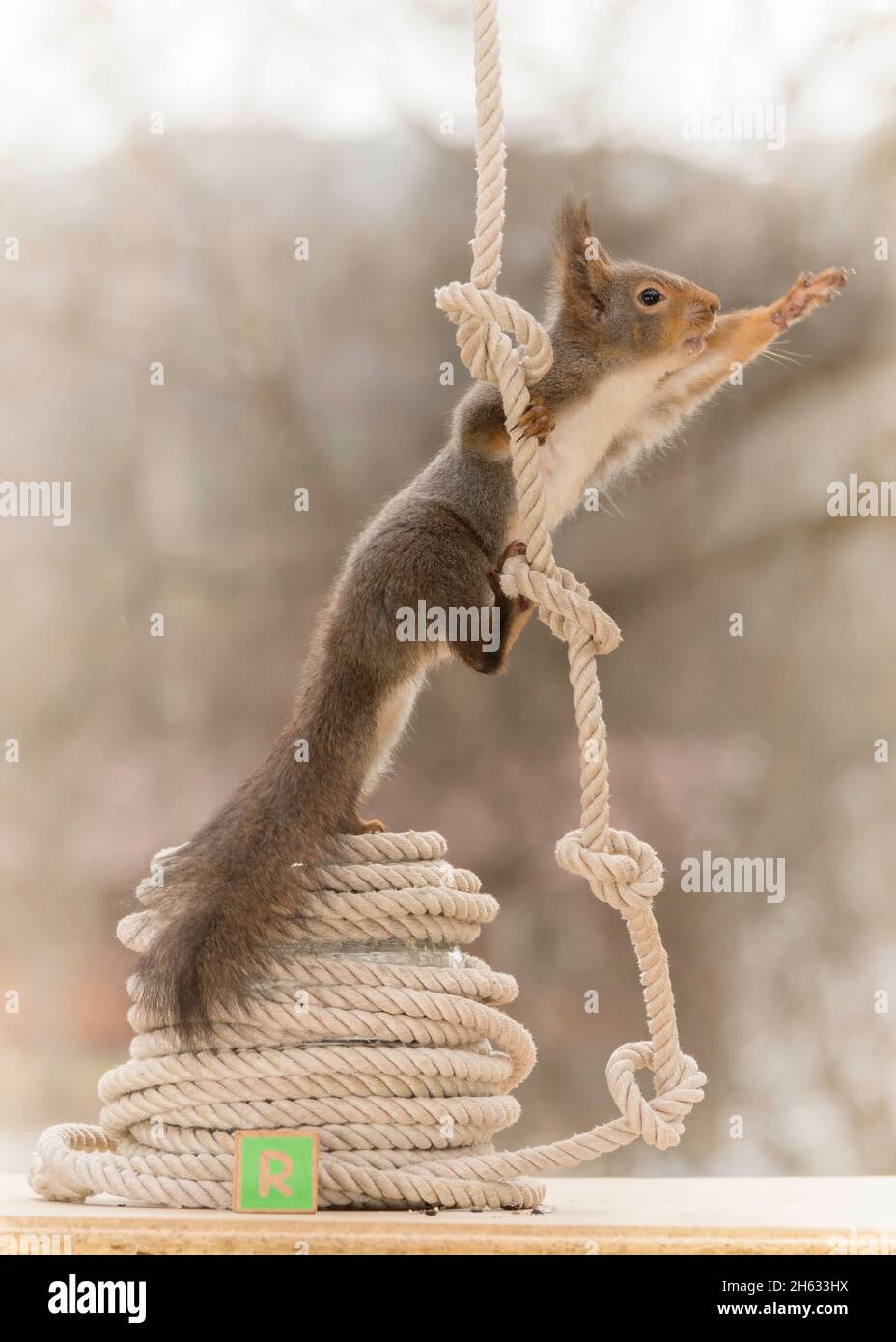 Rope alphabet letter hi-res stock photography and images - Alamy