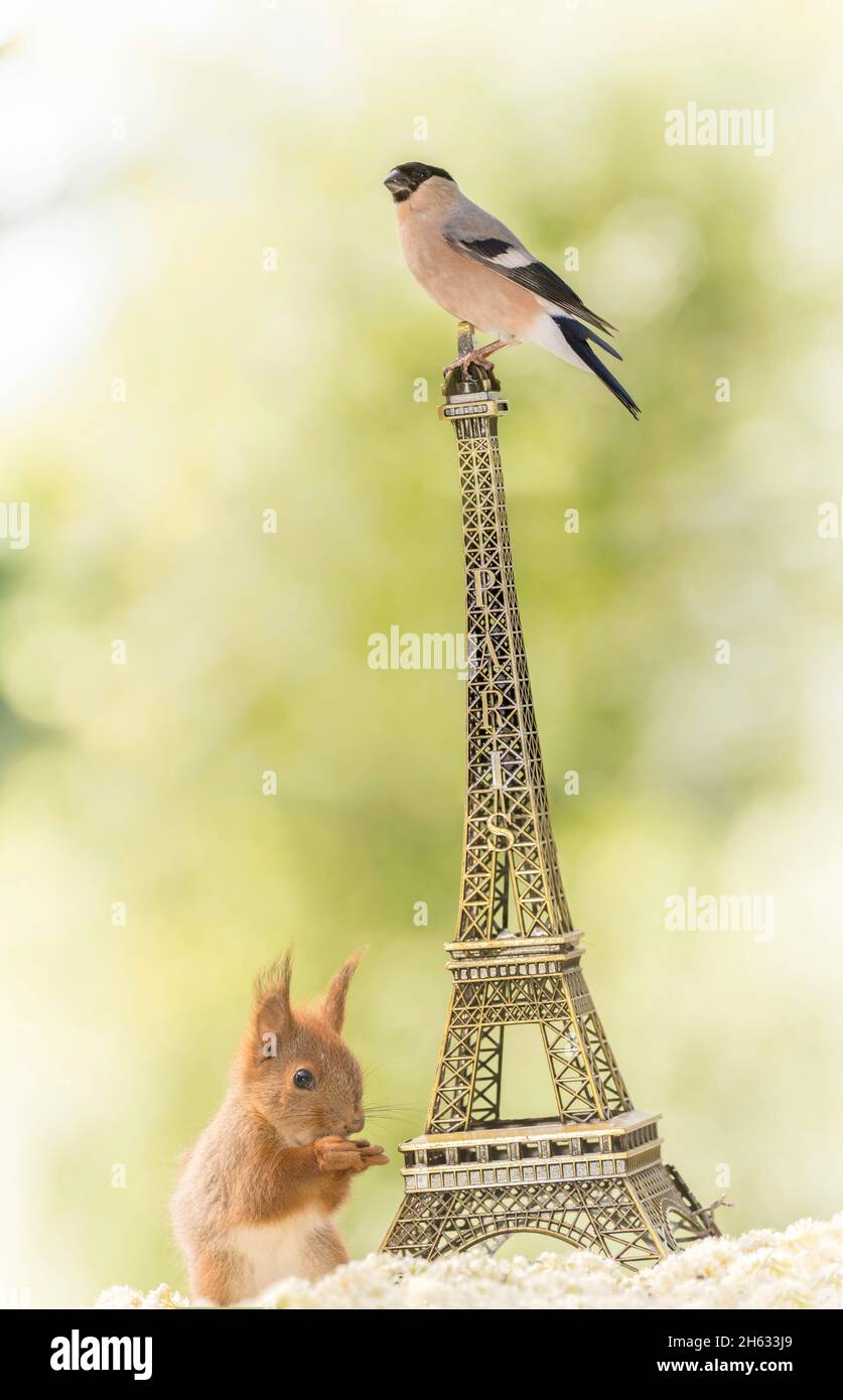 Young tower hi-res stock photography and images - Alamy